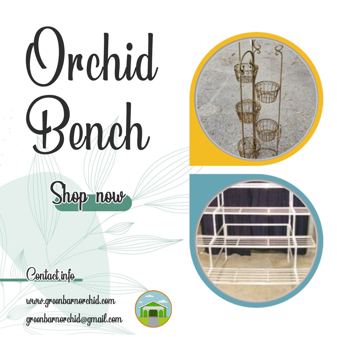 ArtStation - Orchid Bench: Create a Stunning Orchid Showcase