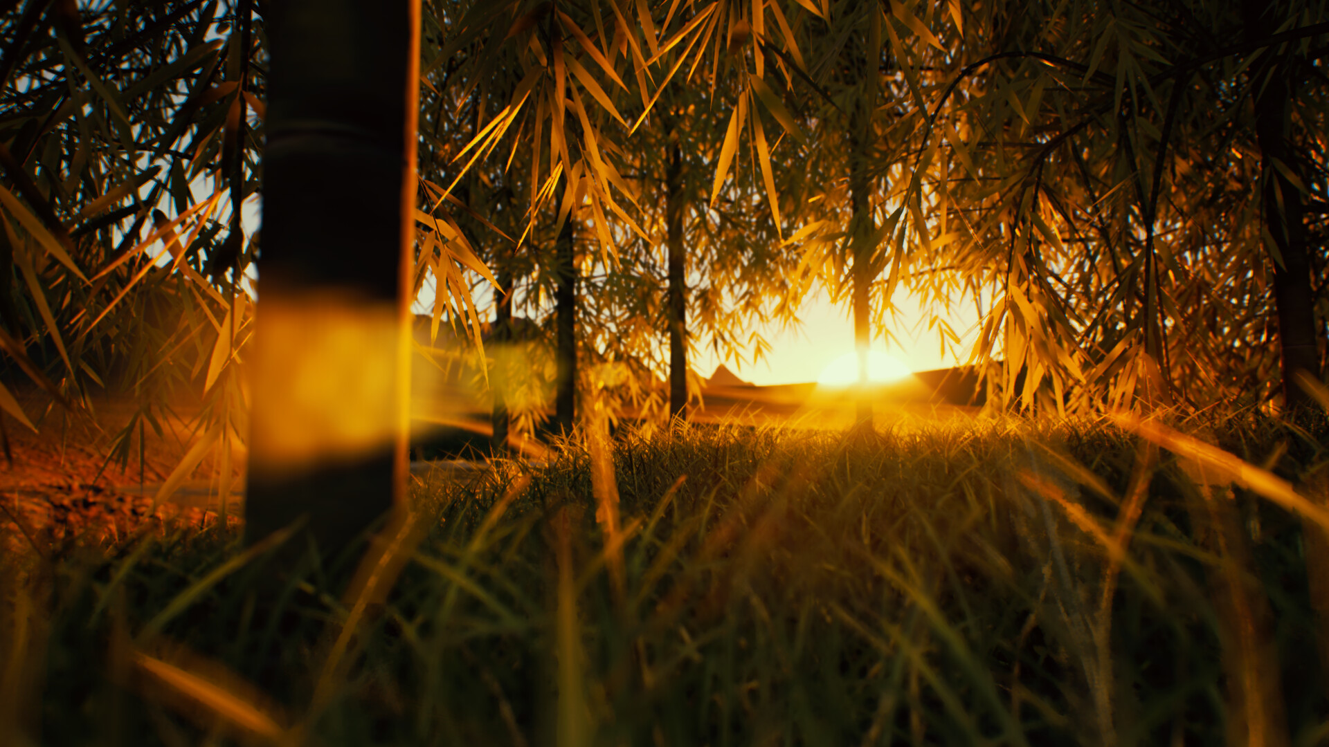 ArtStation - SunSet(?)