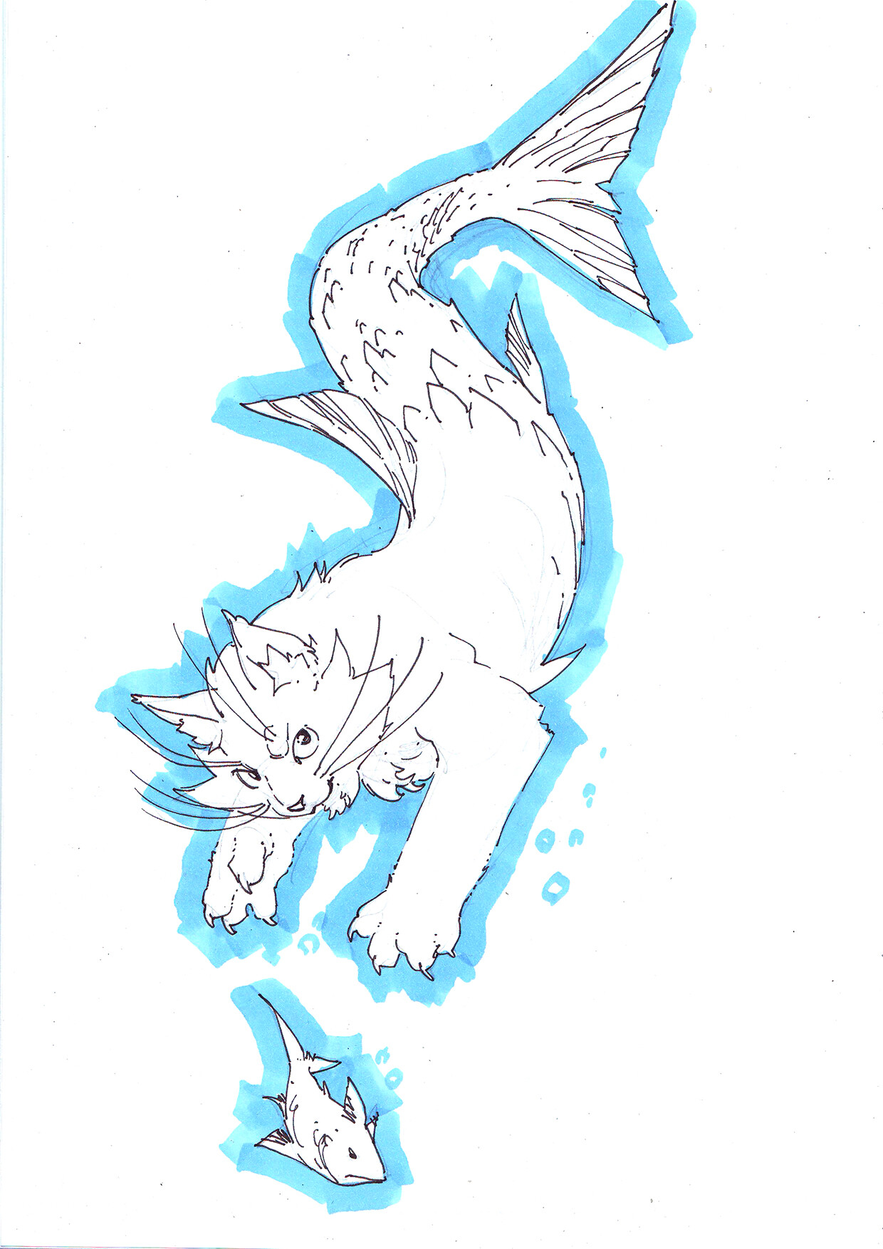 ArtStation - cat-fish