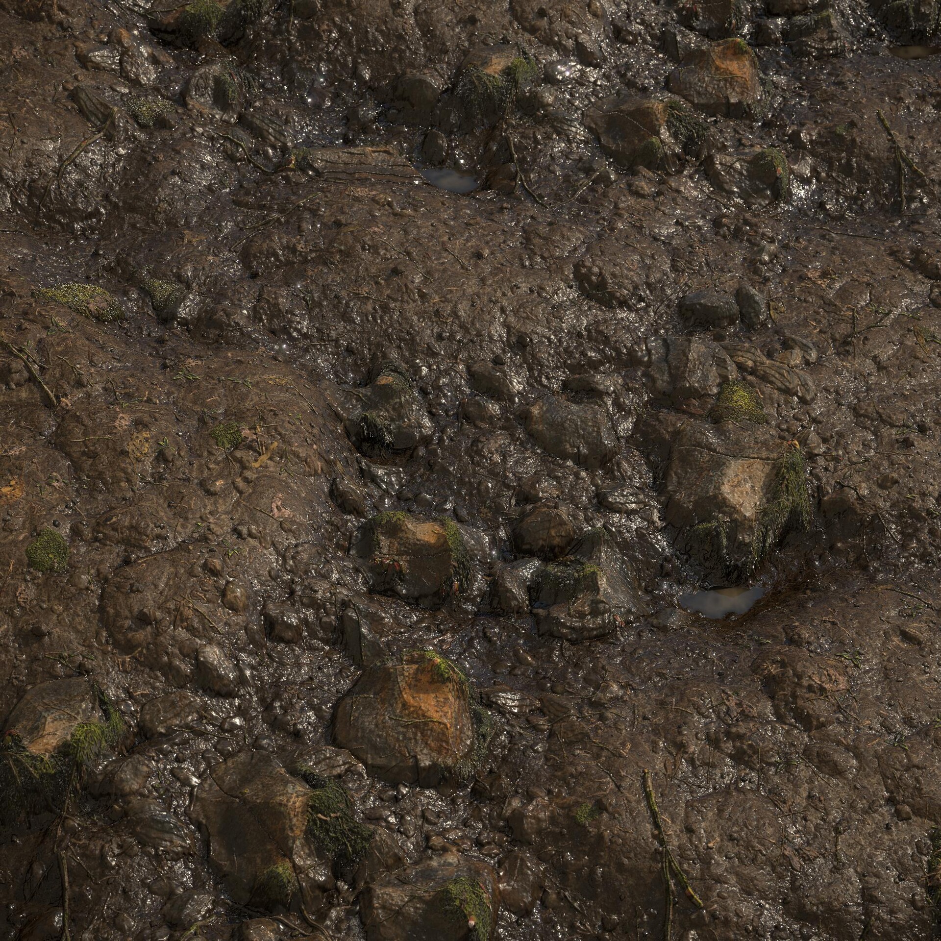 ArtStation - Muddy Ground Material
