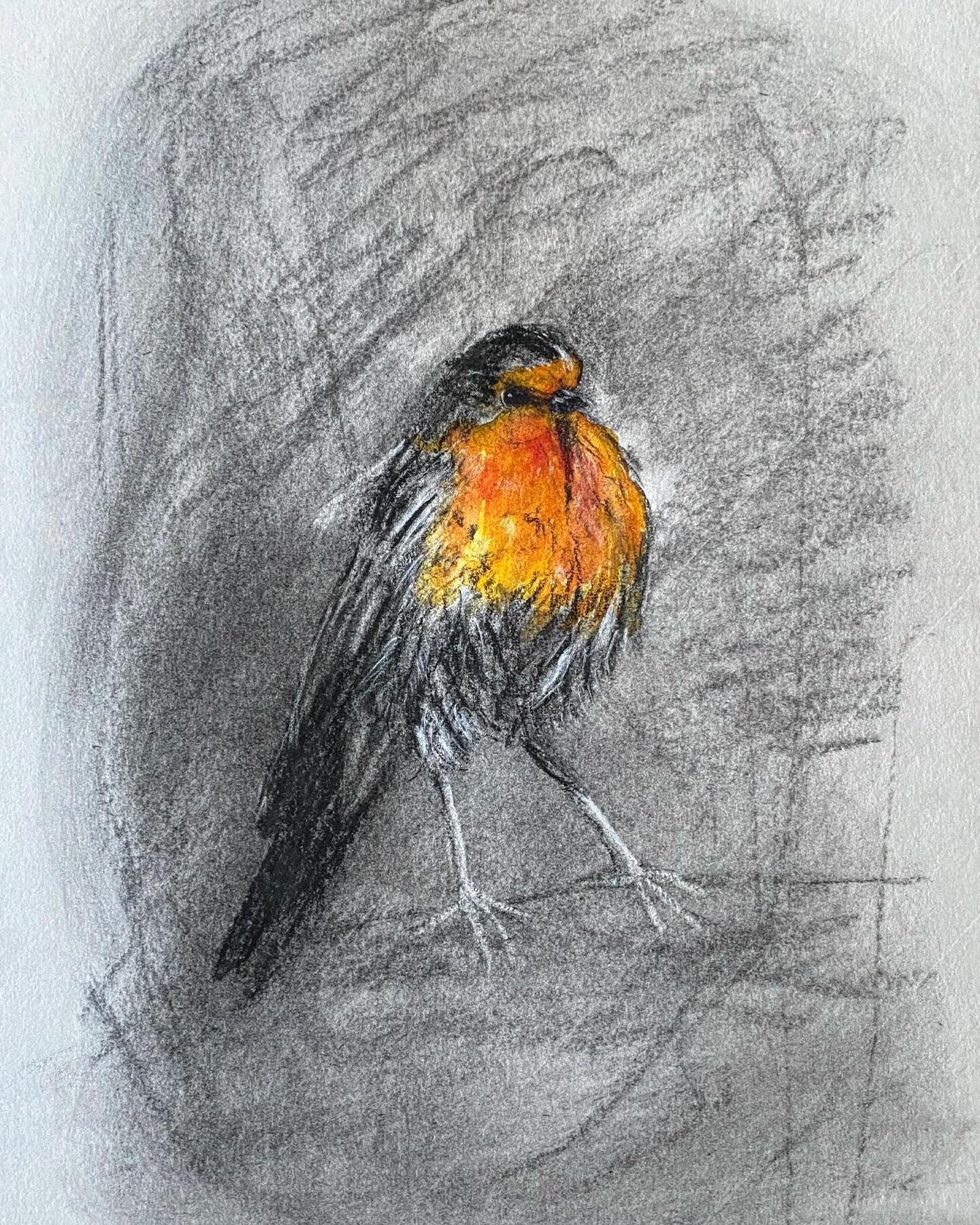ArtStation - Little red robin.