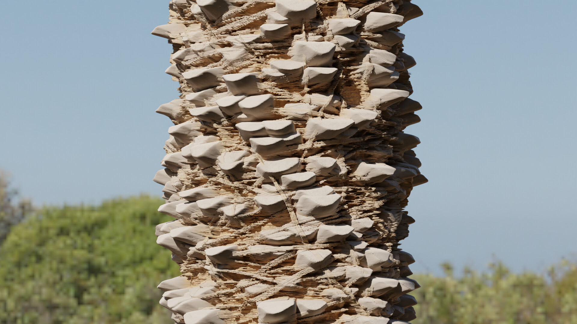 ArtStation - Date Palm Bark Material