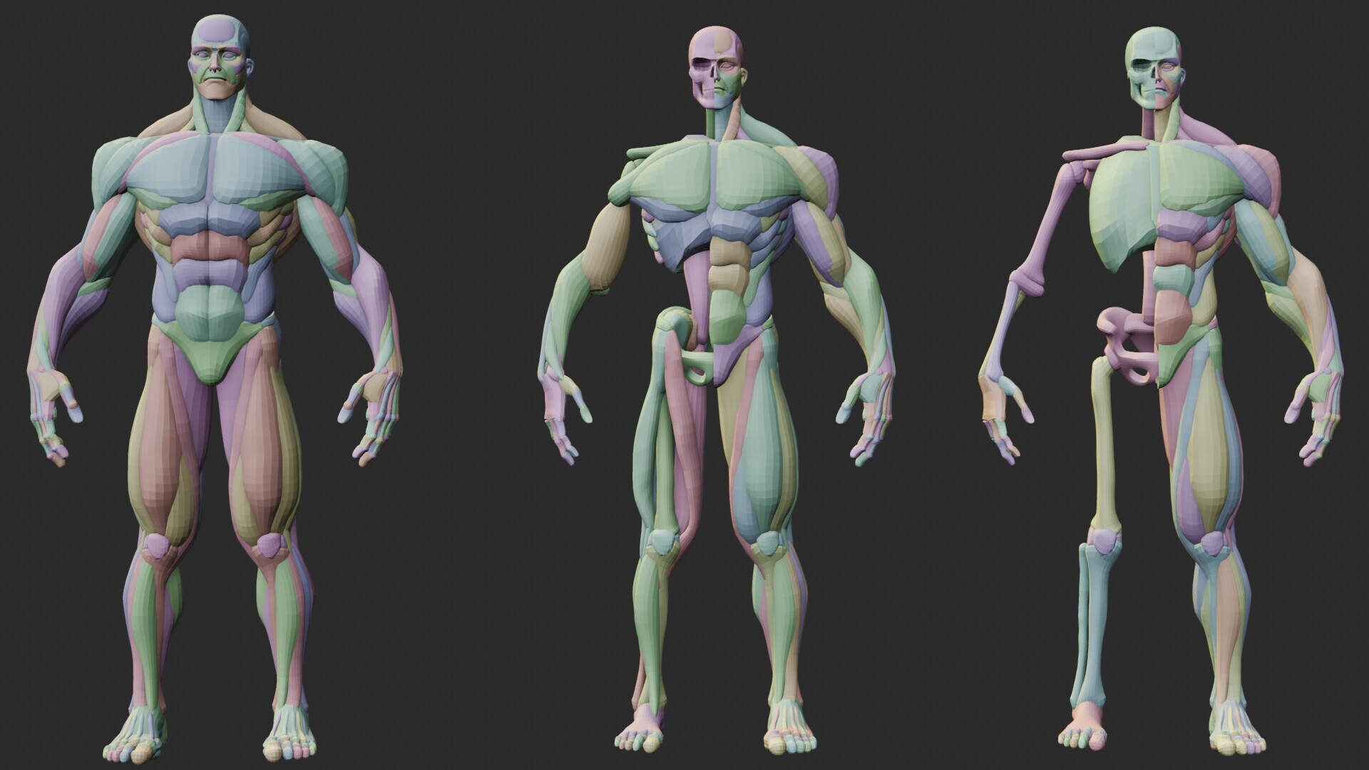 George Zaky - Ultimate Stylized Anatomy Ecorche