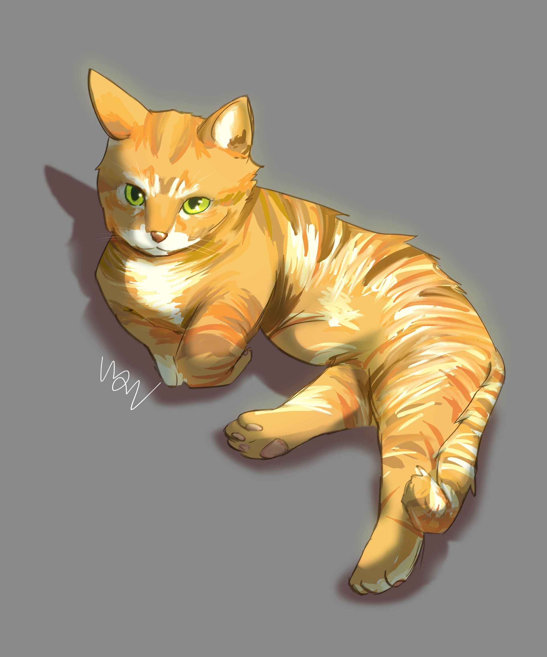 how to draw cat paws deviantart