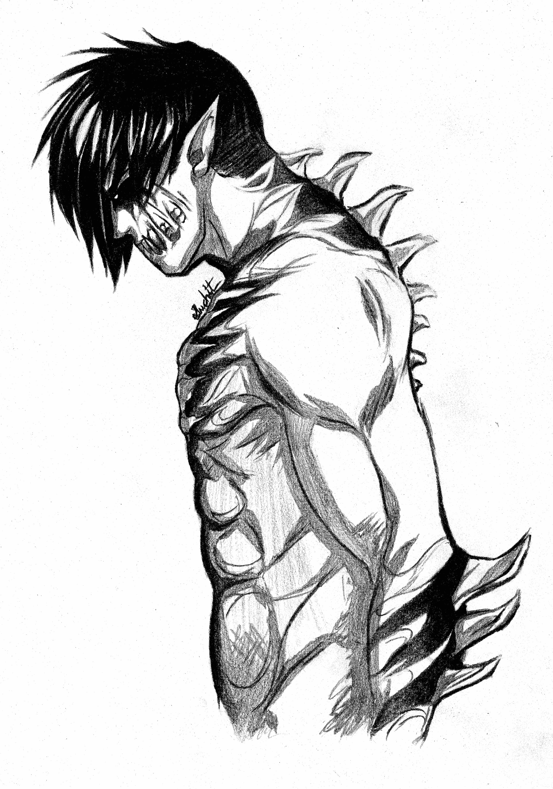levi titan form