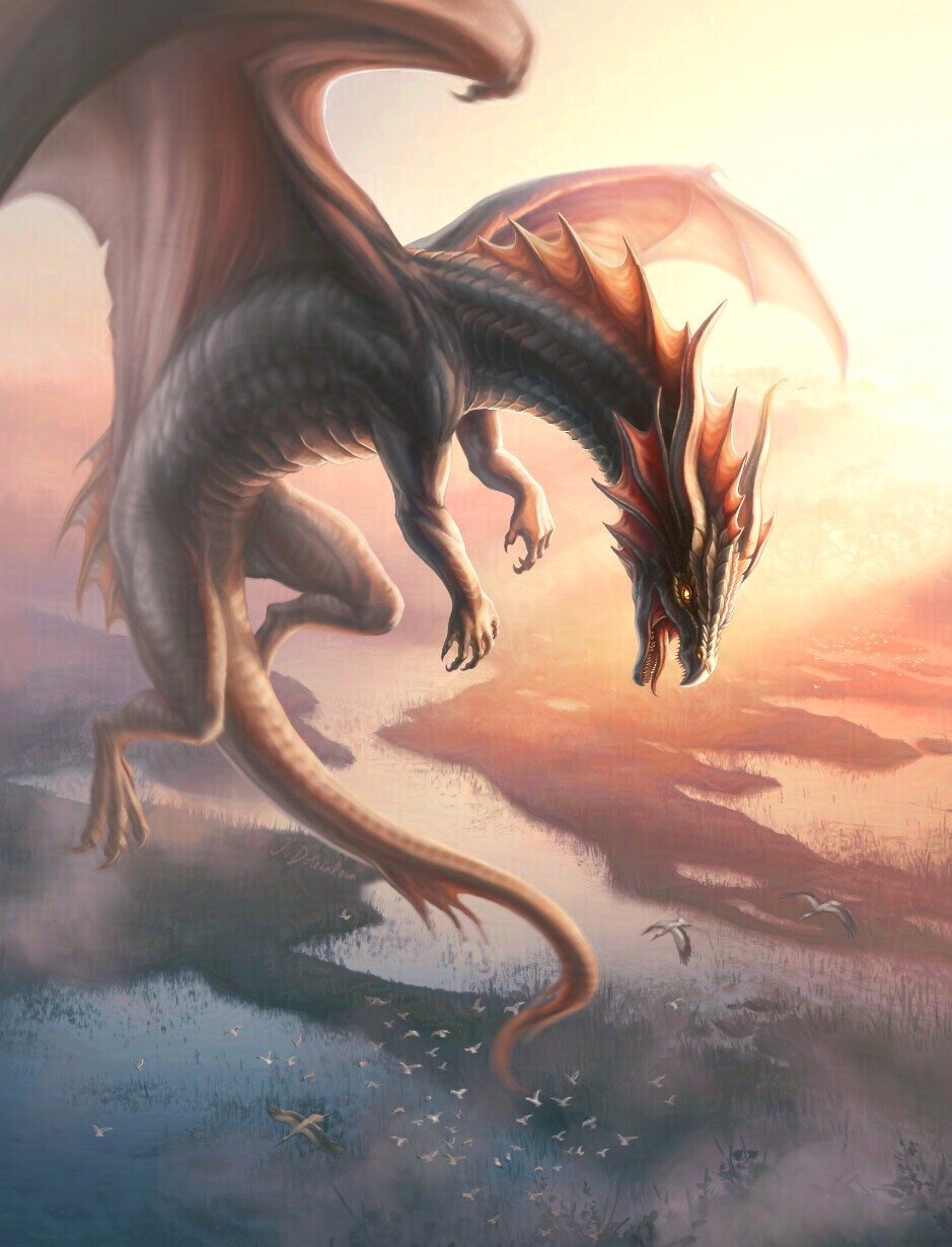 ArtStation - Sunrise over fen