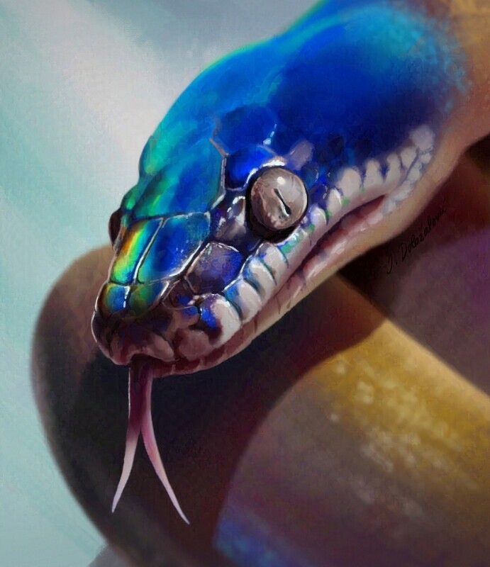 ArtStation - Reptile studies