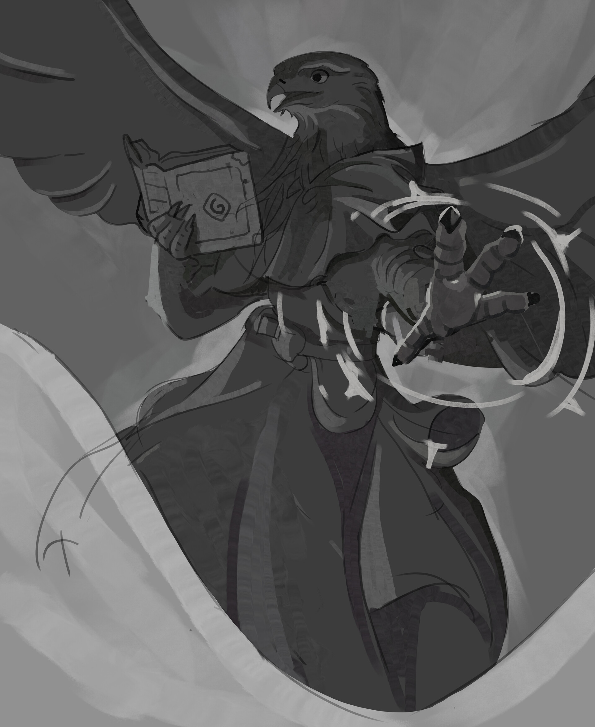 Allan Damaso - Aarakocra-Wizard(war Magic)-Criminal