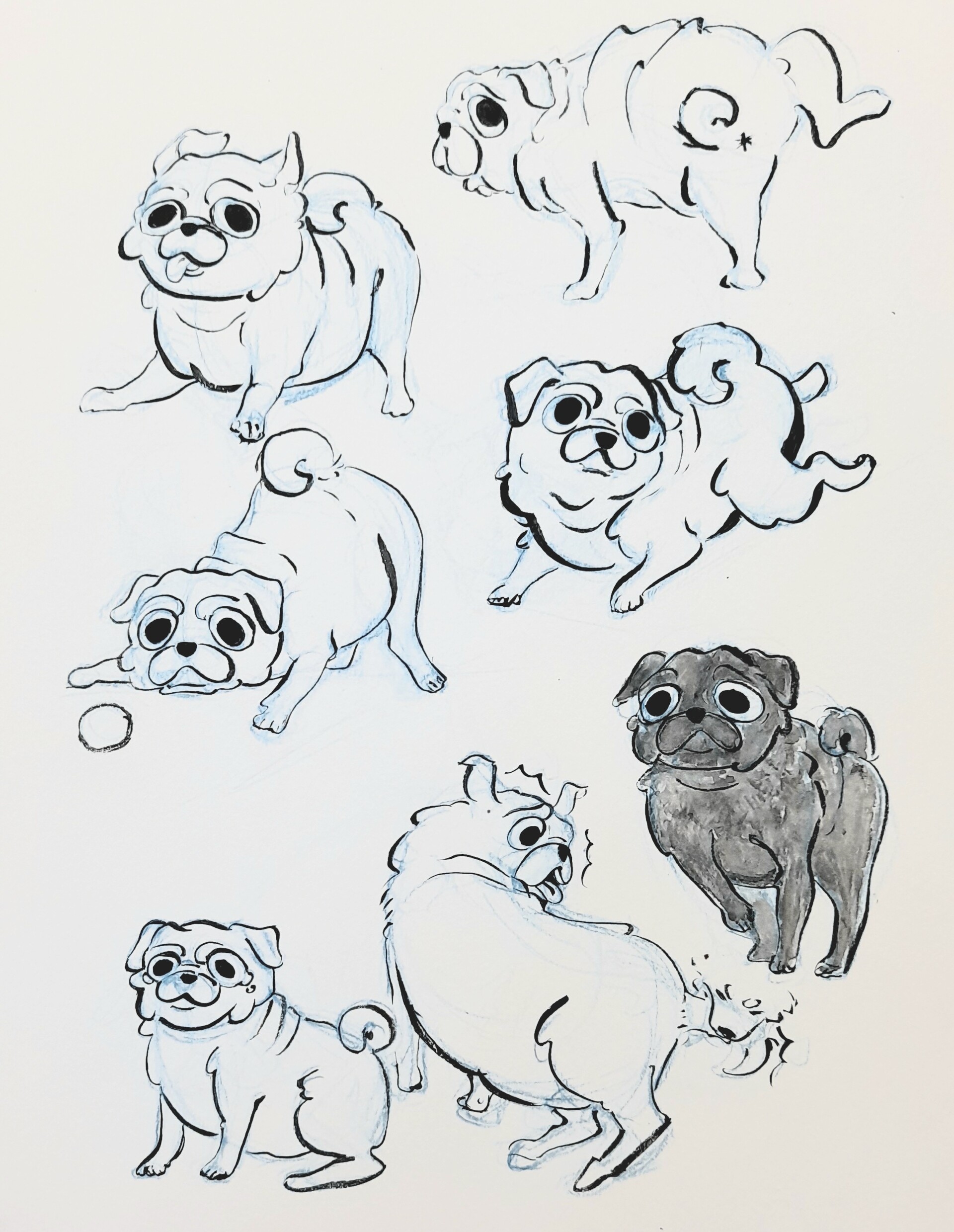 ArtStation - Pug studies