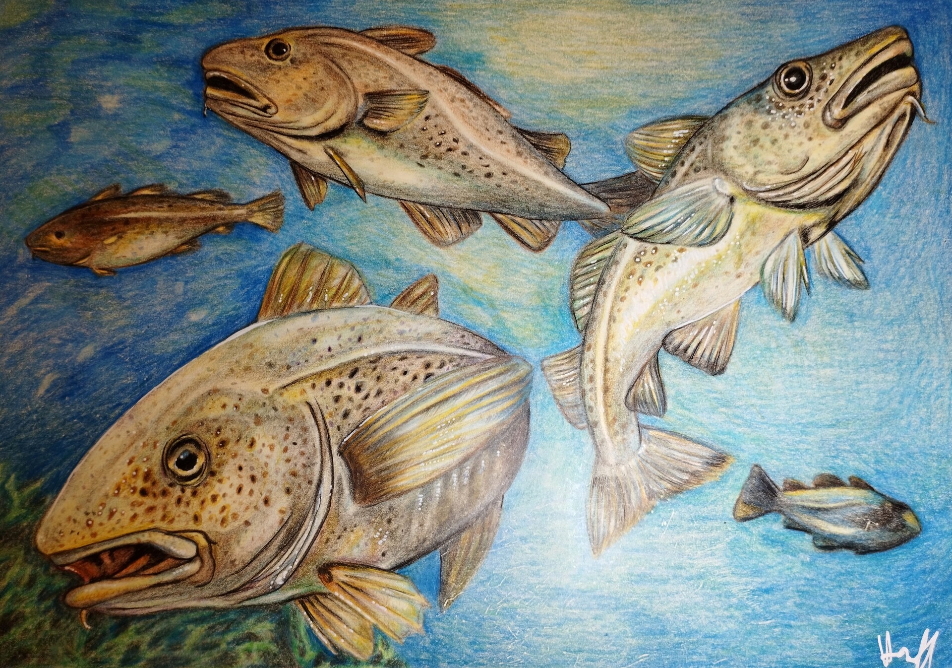 ArtStation - Codfish boys - Color pencils - A3 paper