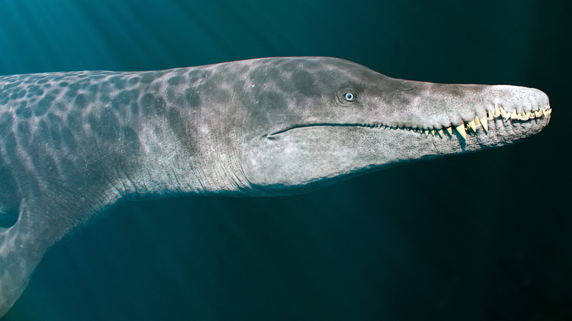 Jonathan Harris - Pliosaurus Life Reconstruction
