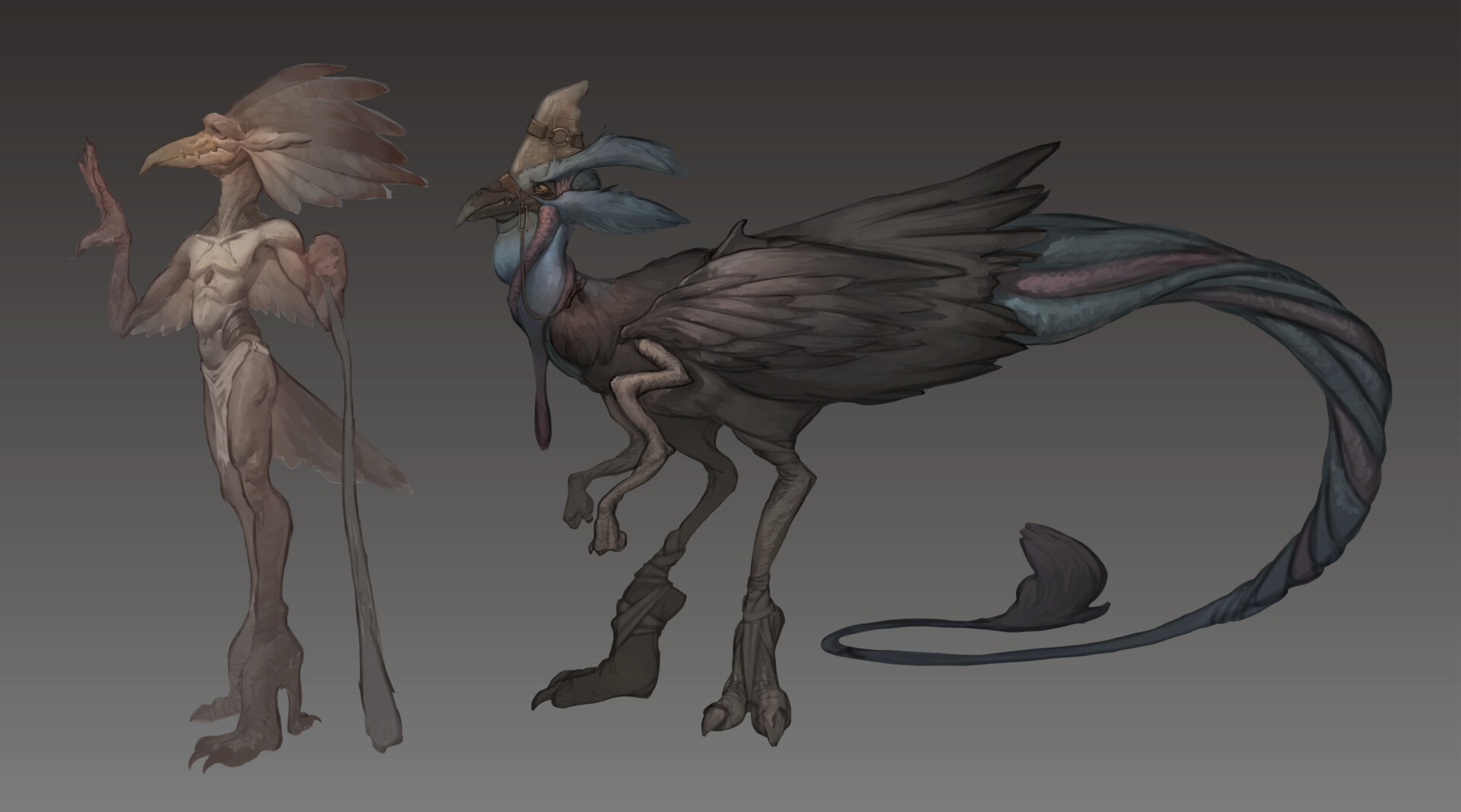 ArtStation - Birds creatures
