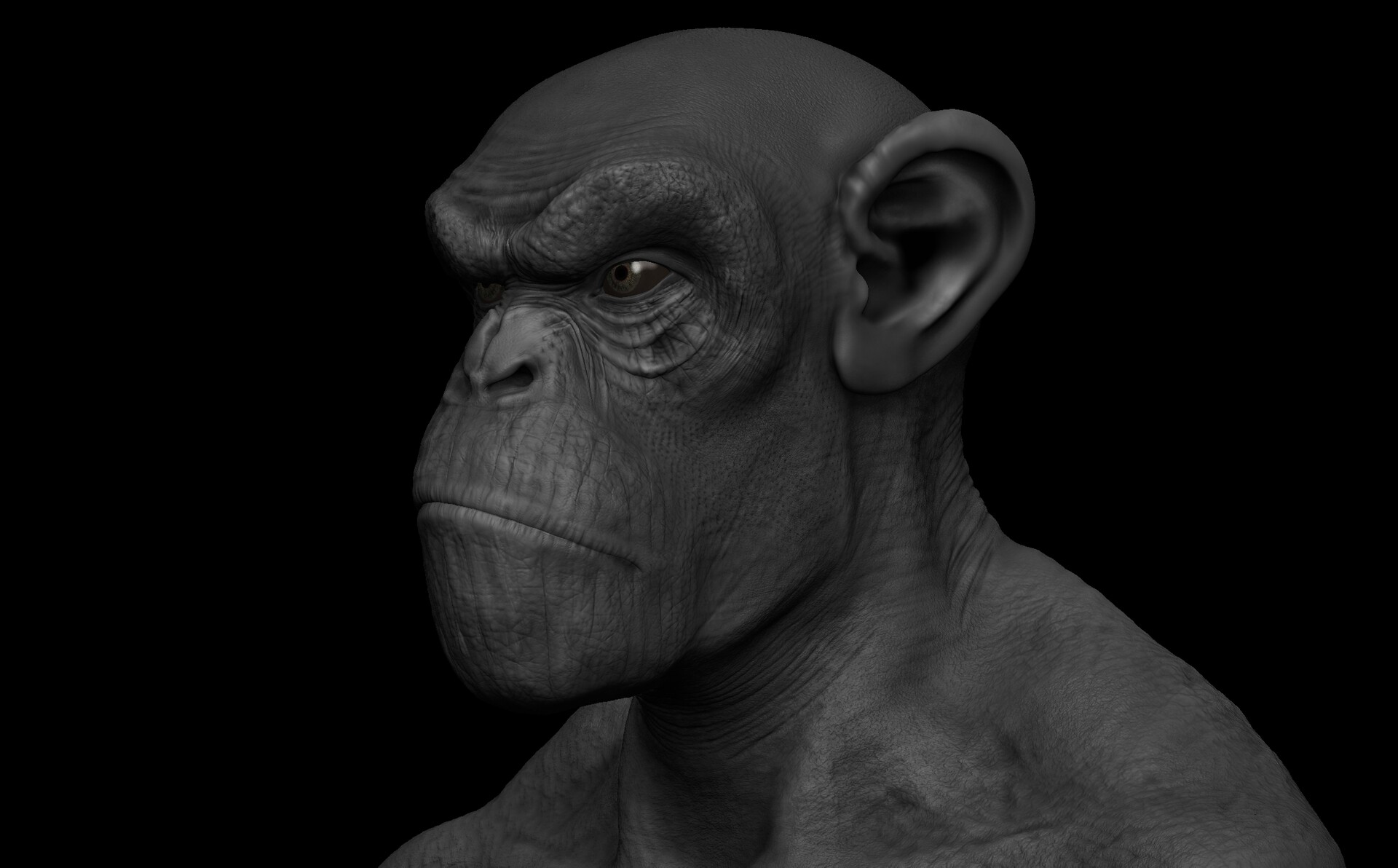 ArtStation - Chimpanzee 3d Model Quick sculpt
