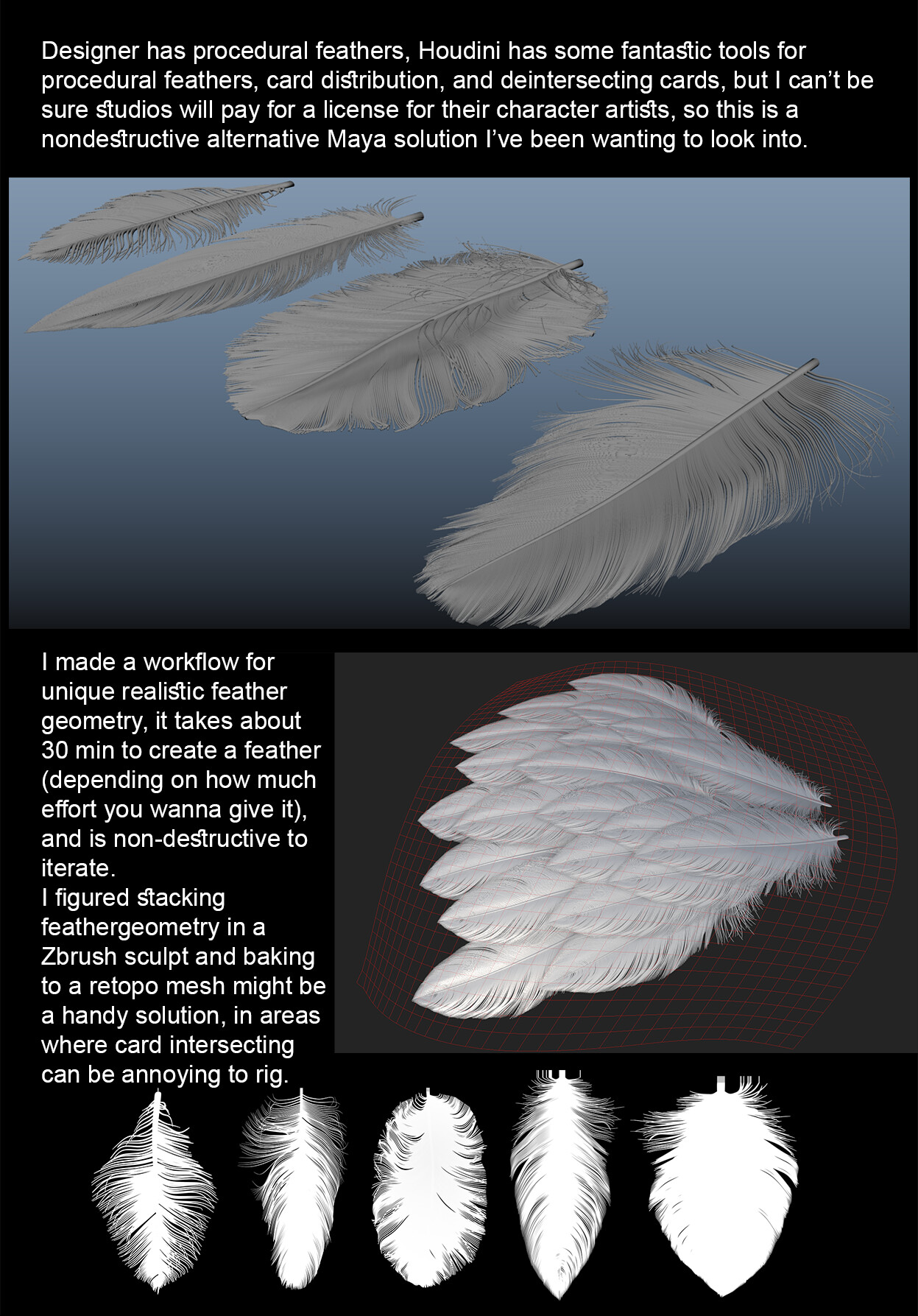 Kasper Rossing - Feather research