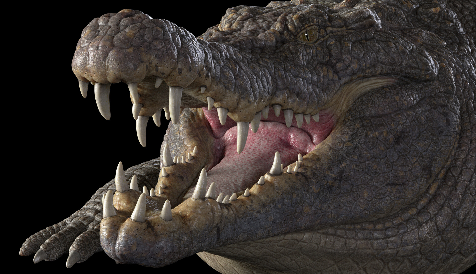 ArtStation - crocodile
