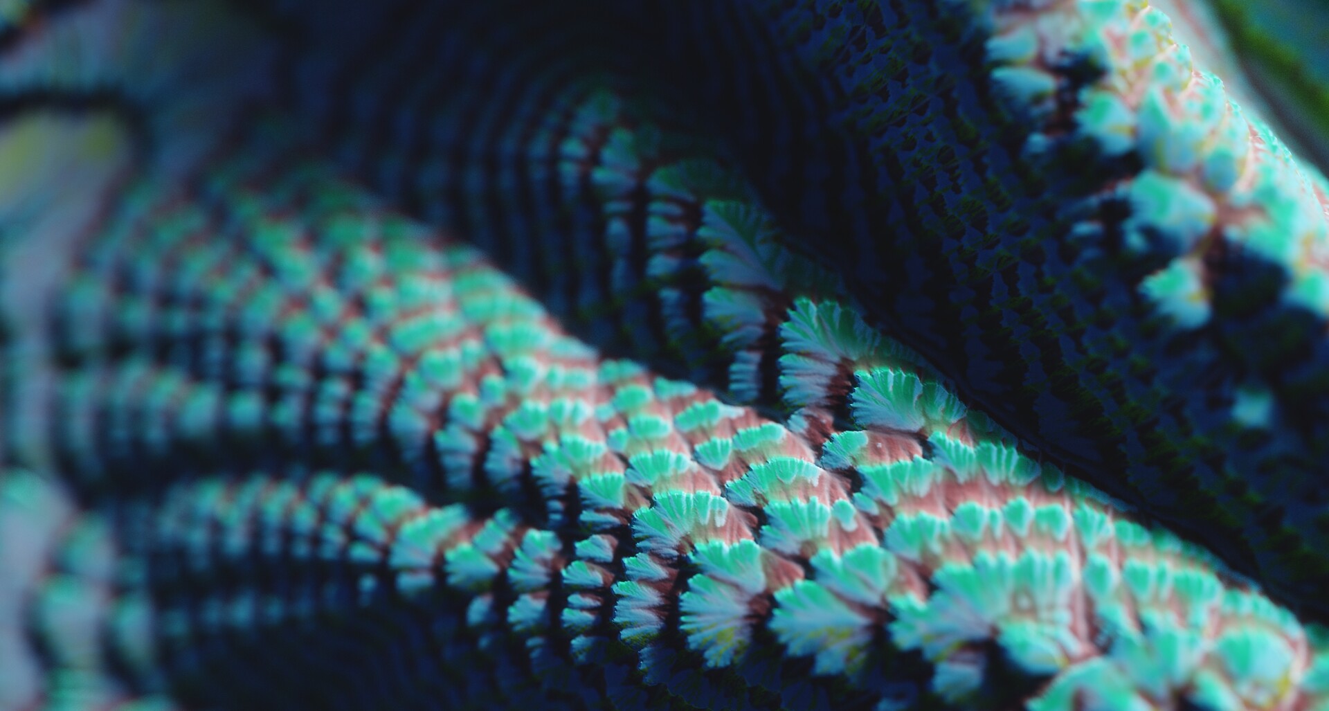 ArtStation - Crazy Worlds