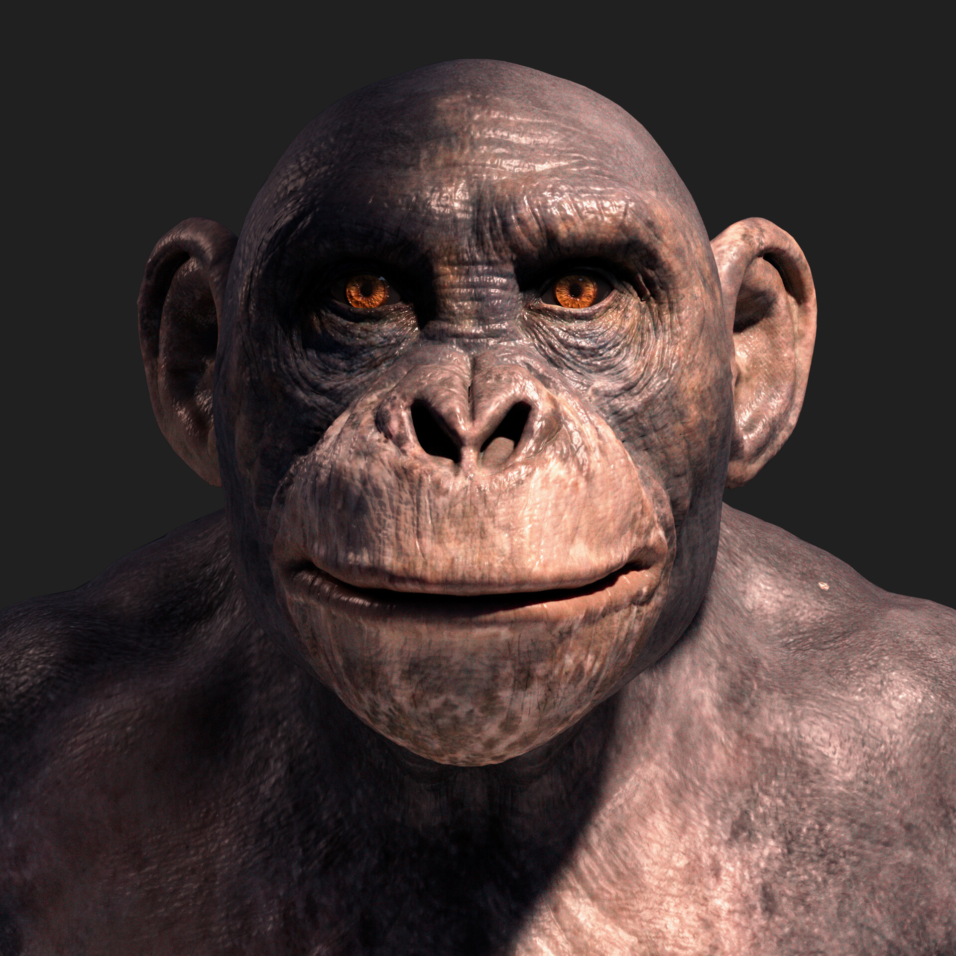 ArtStation - Chimp