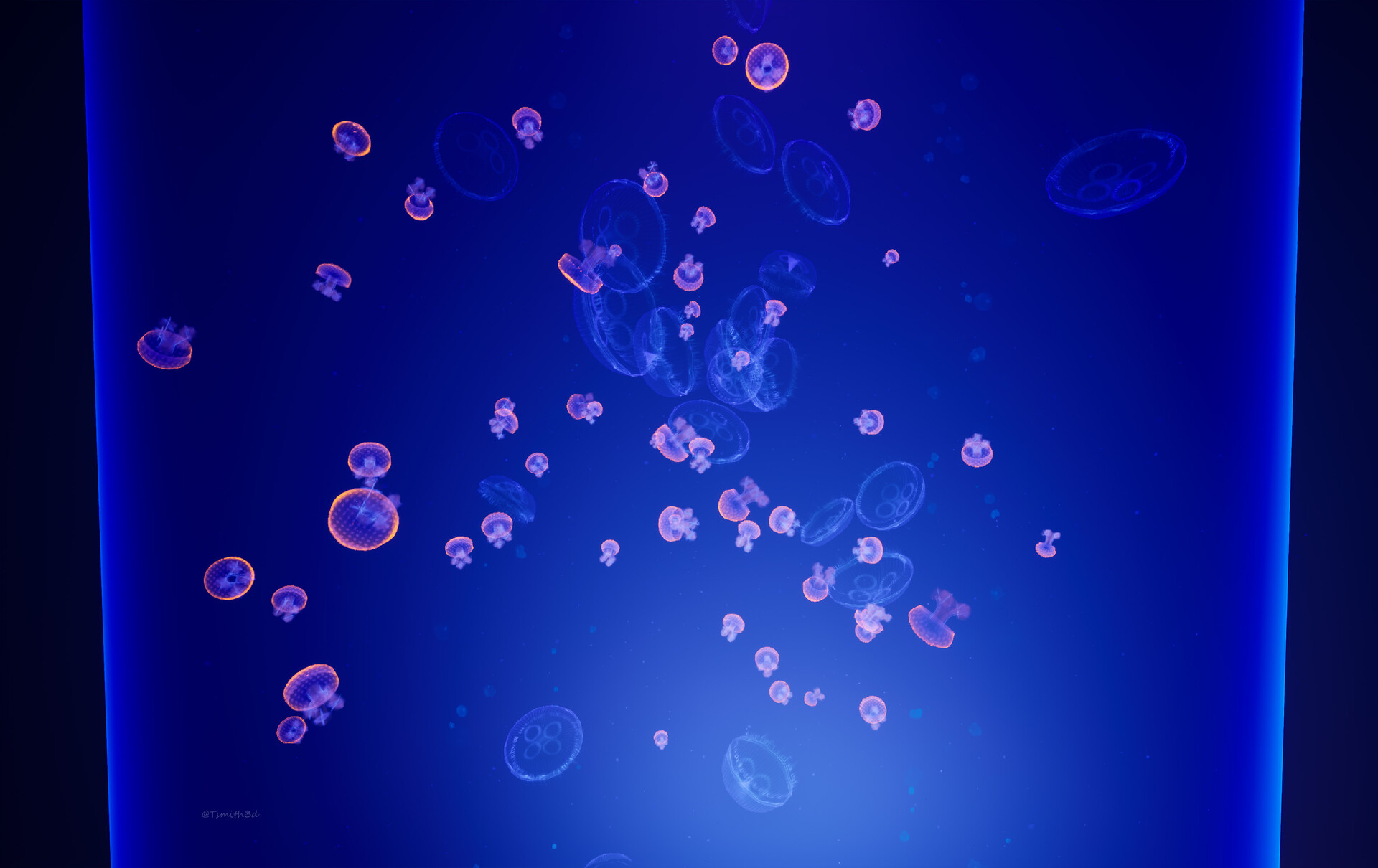 Tyler Smith - Jellyfish Aquariums in Unreal 5