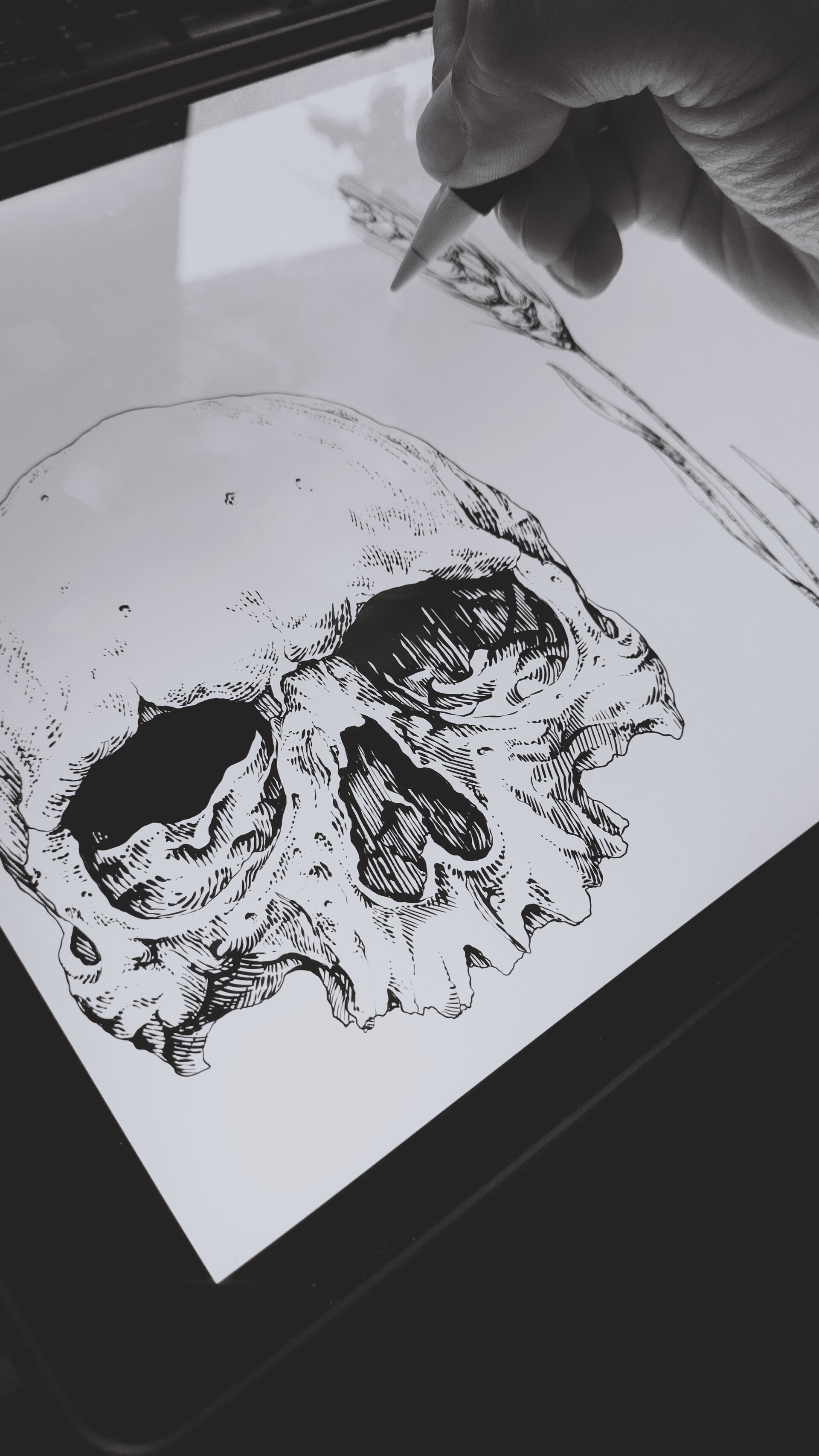 Kacper Gilka - Skull & Grain - Artwork SOLD