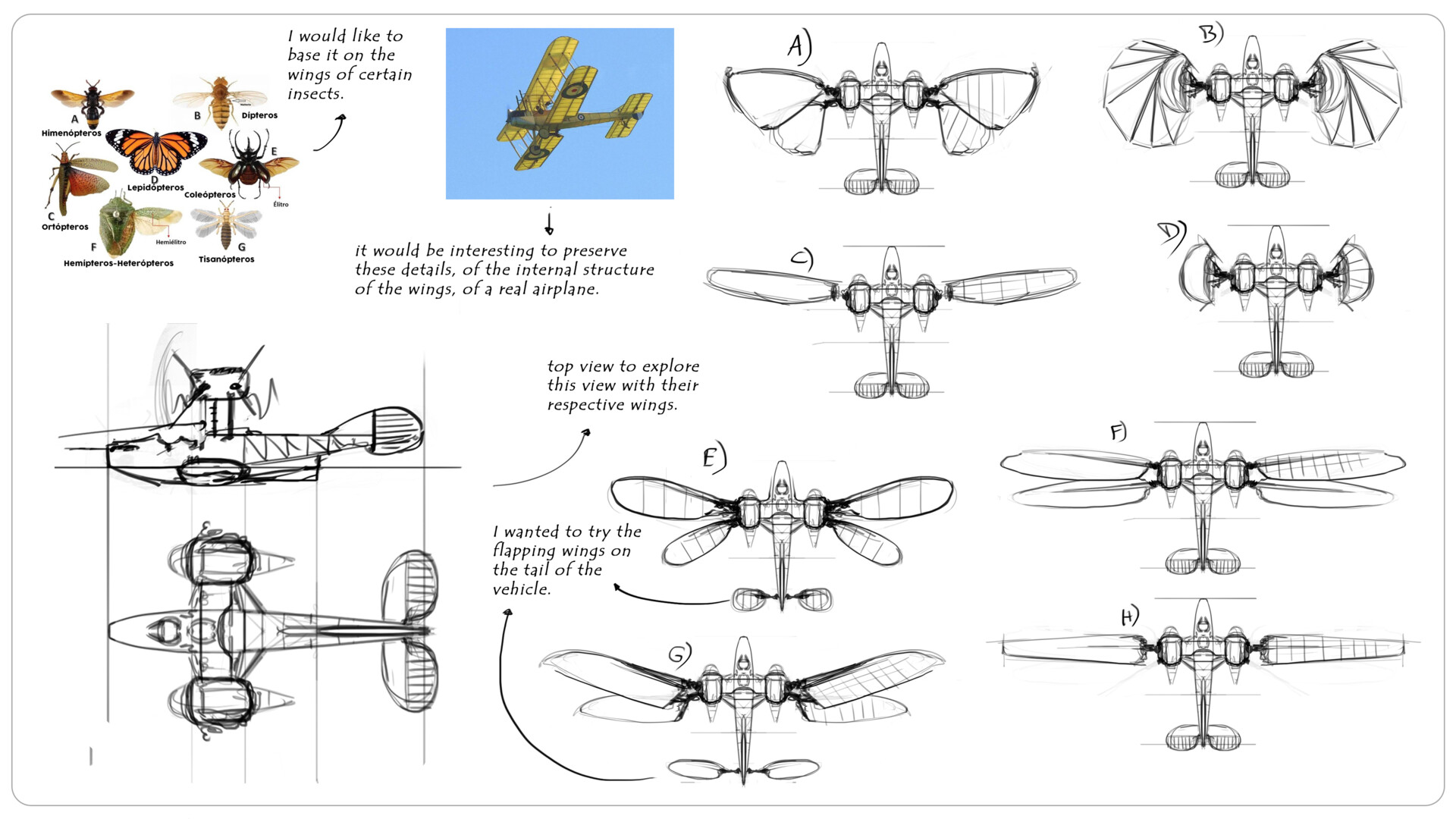 Carlos Martinez A. - THE ENTOMOPTER - VEHICLE DESIGN PROJECT