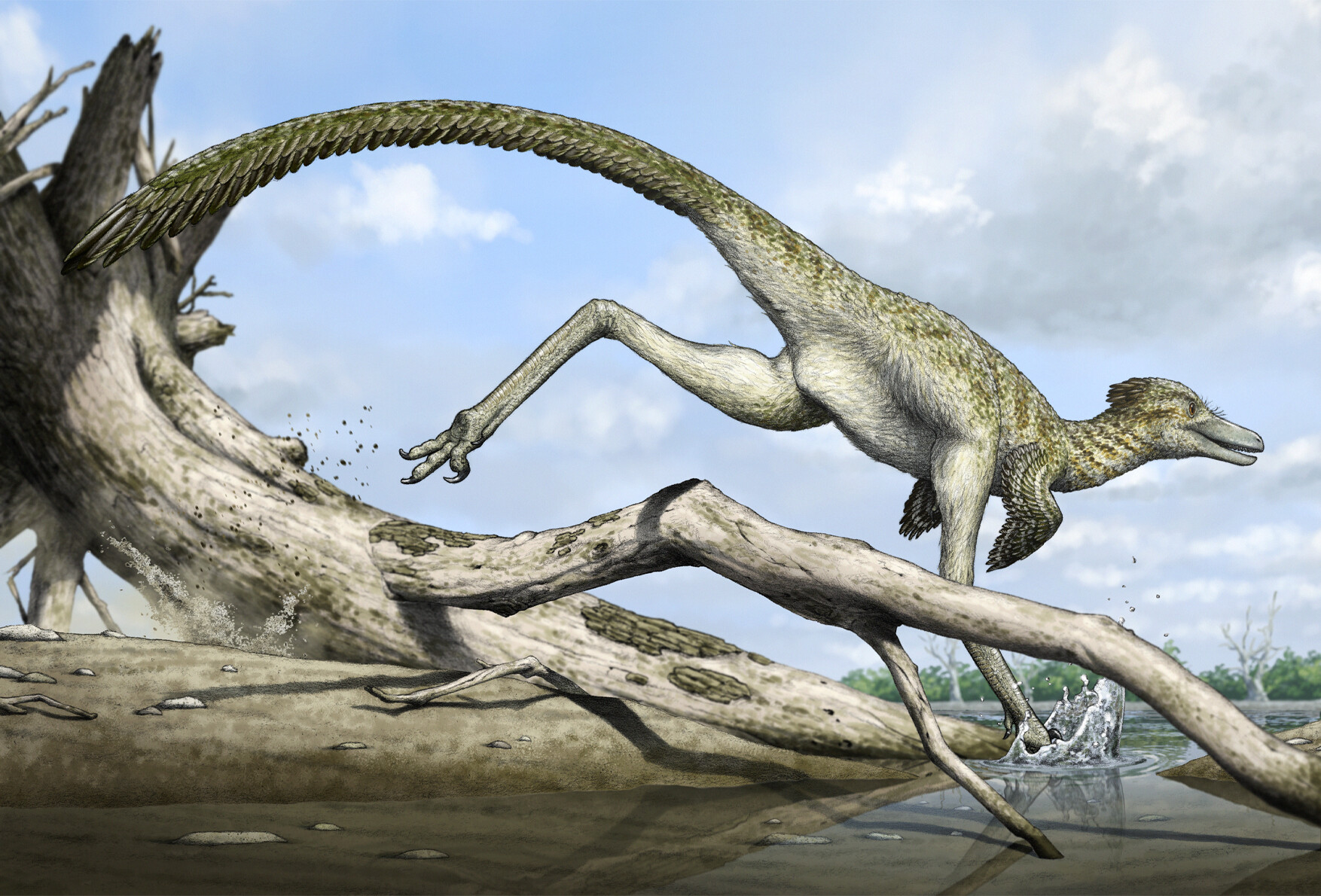 ArtStation - Harenadraco