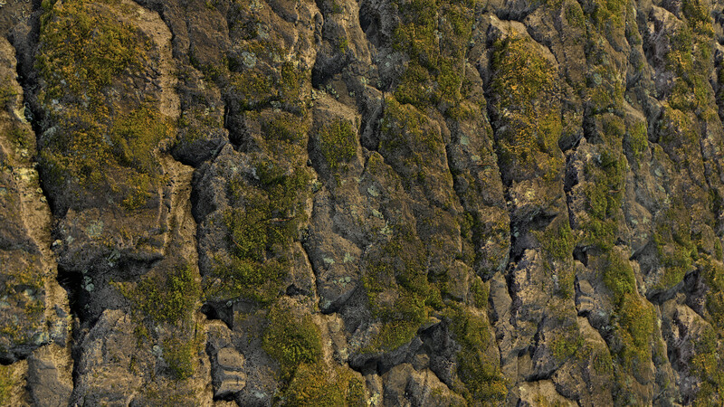 Noah Presnell - Older Work