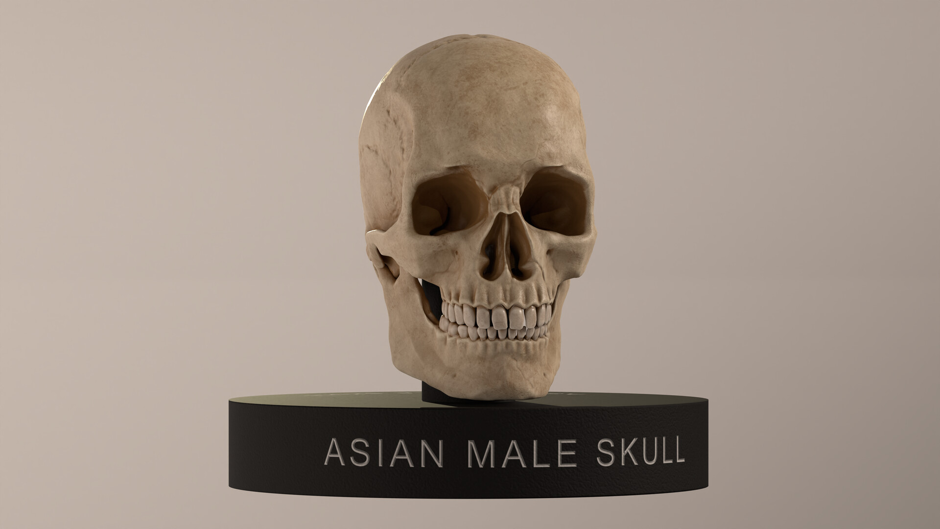 asian skull features