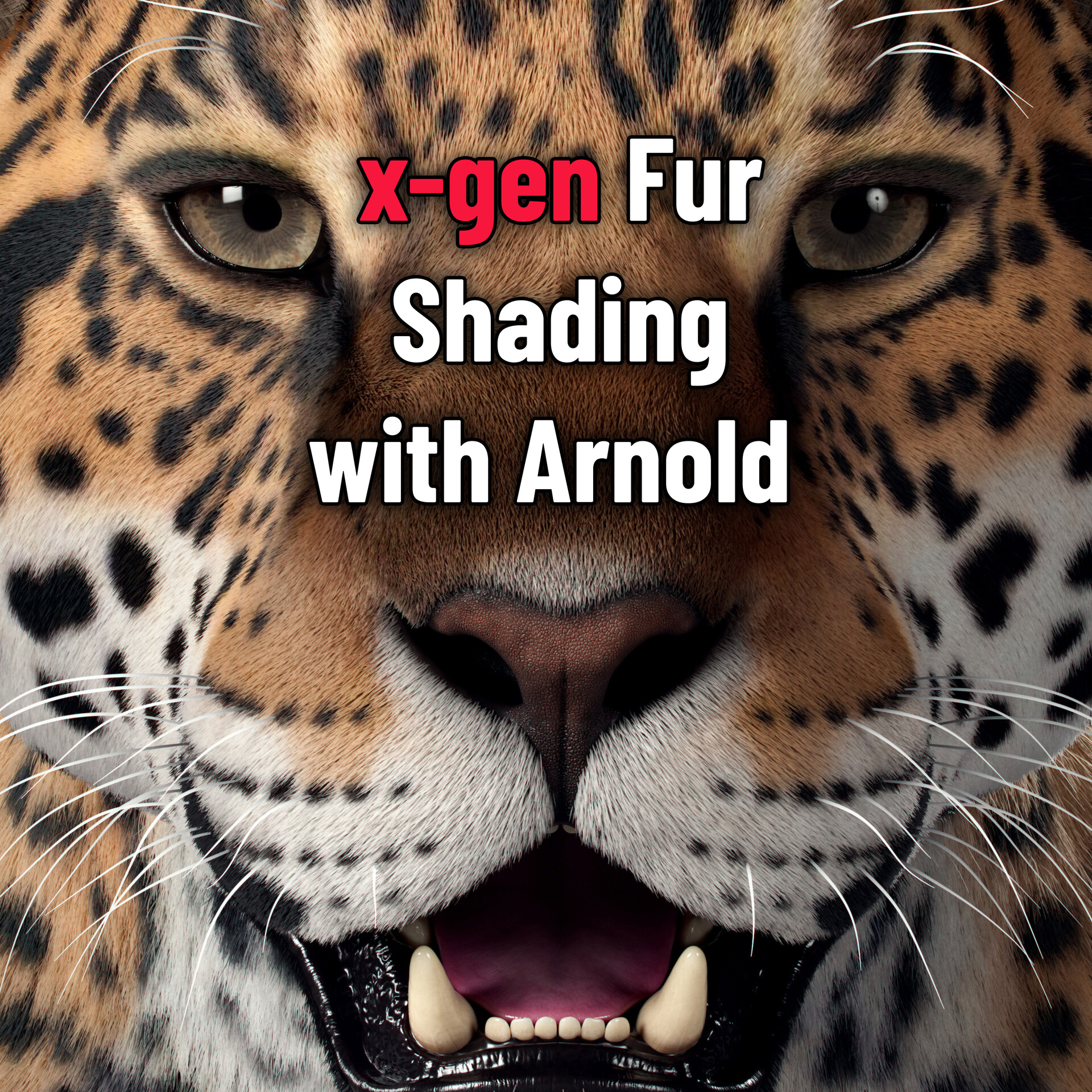 ArtStation - Jaguar Fur Shading With Arnold