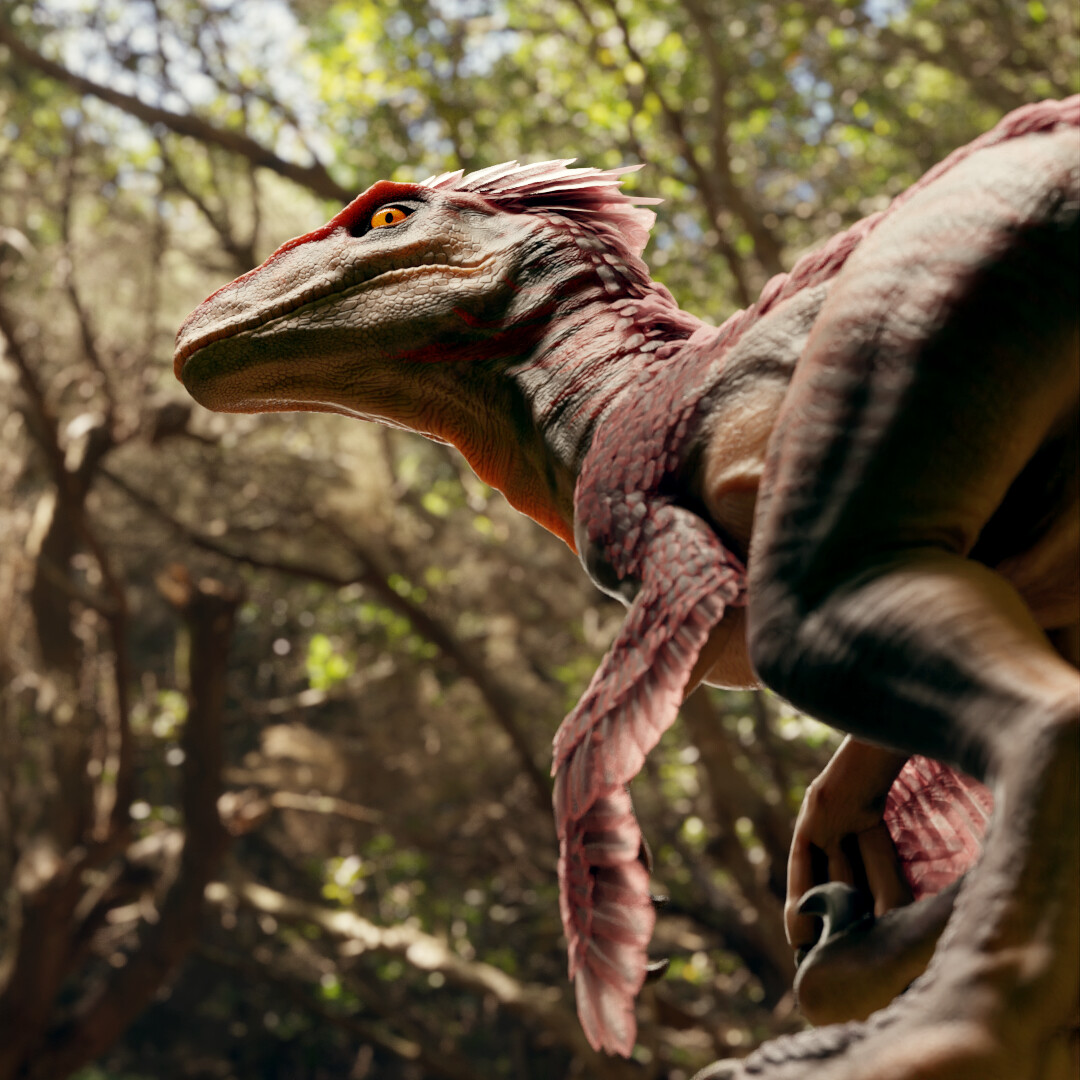 CC San - Red Claw Raptor