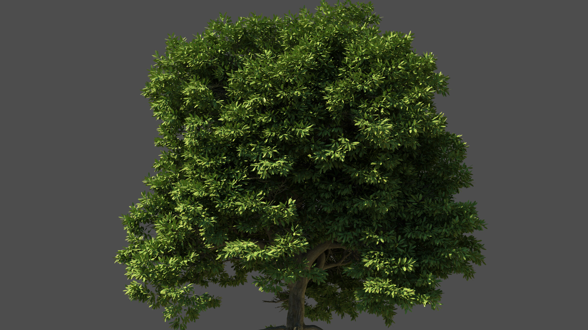 ArtStation - Houdini_Arnold_Shading_LookDev