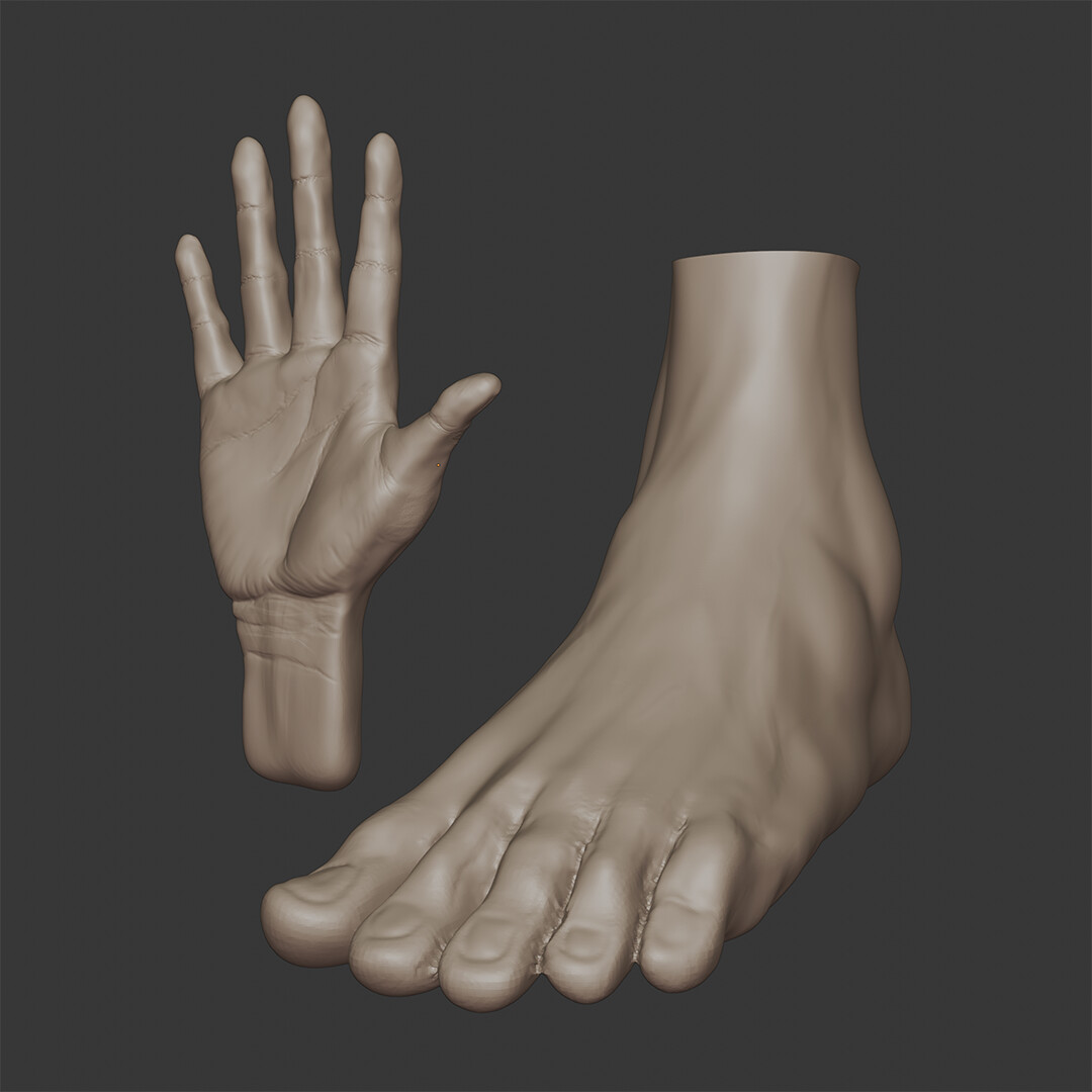 ArtStation - Hand and foot, sculpted in Blender.