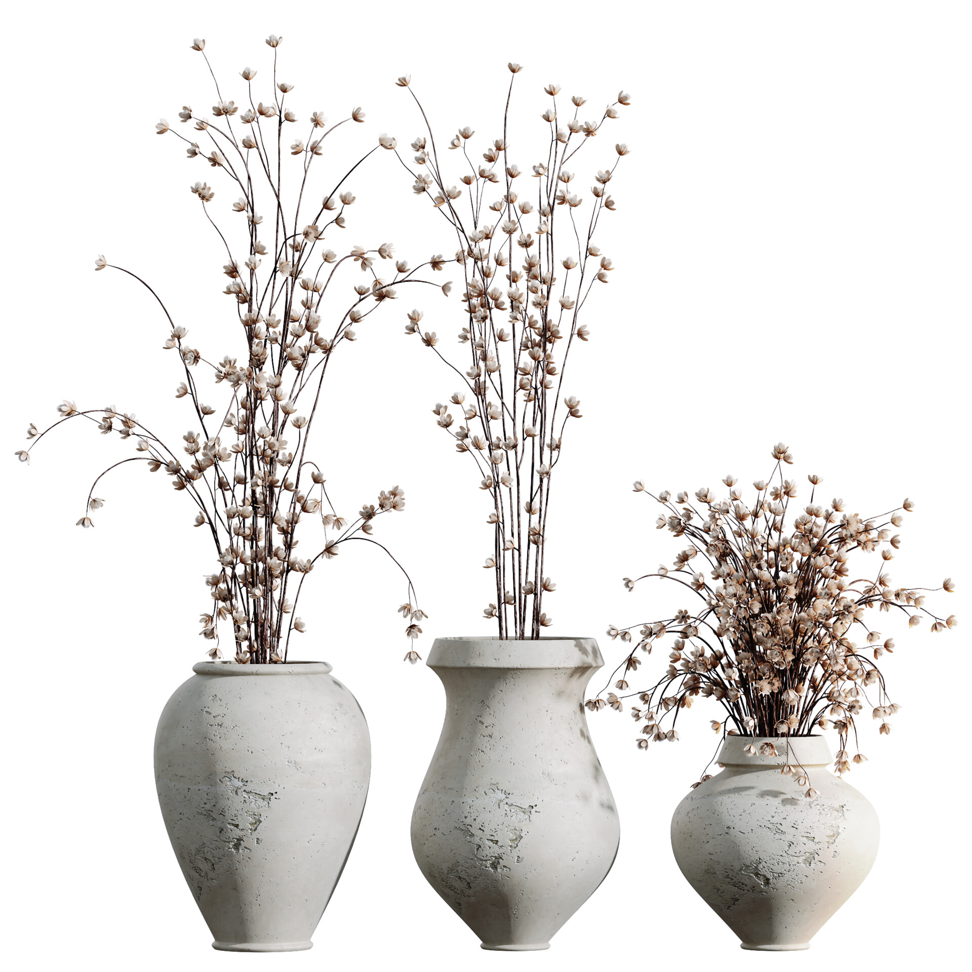 ArtStation - HQ HousePlants Decorative Iliyan Pampas Dried Branches Pampy