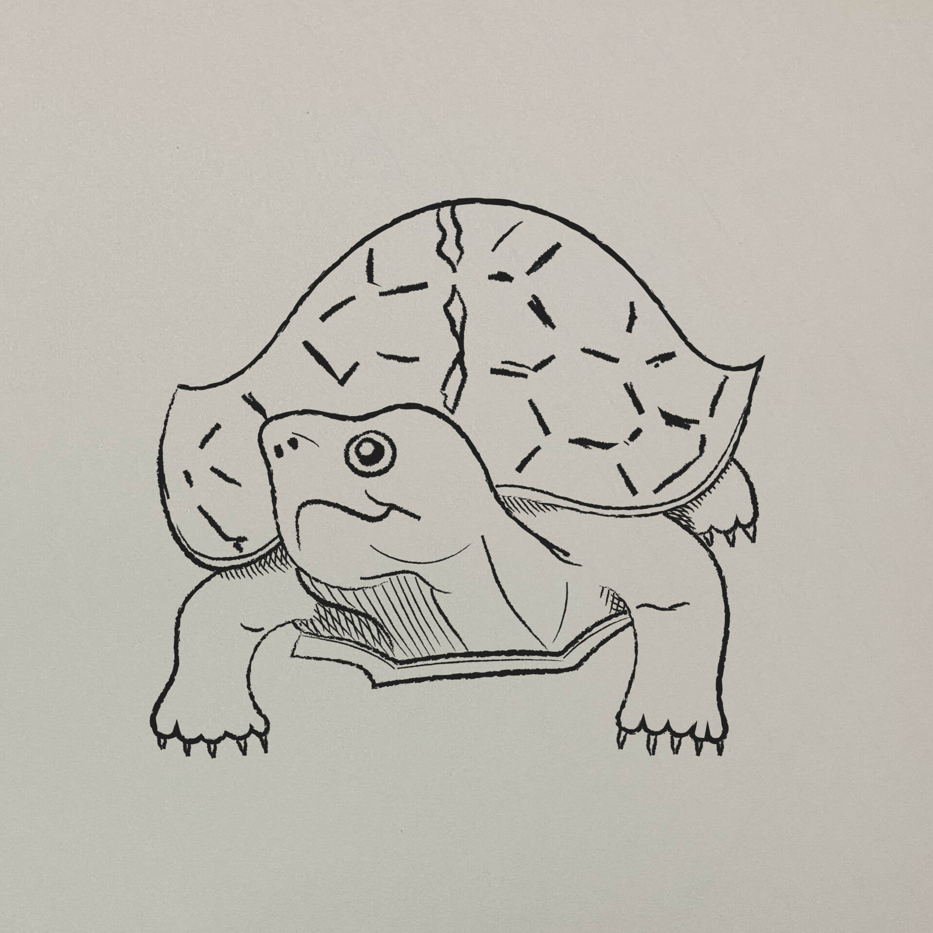 ArtStation - Tortoise Line Art