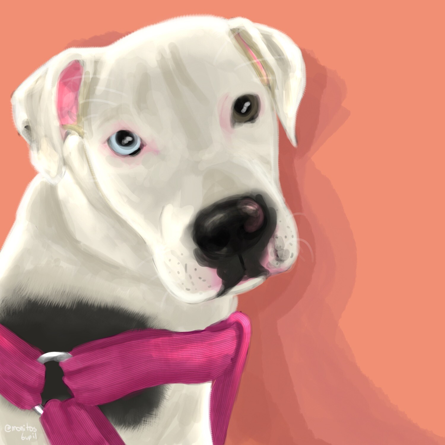 ArtStation - Pet commision