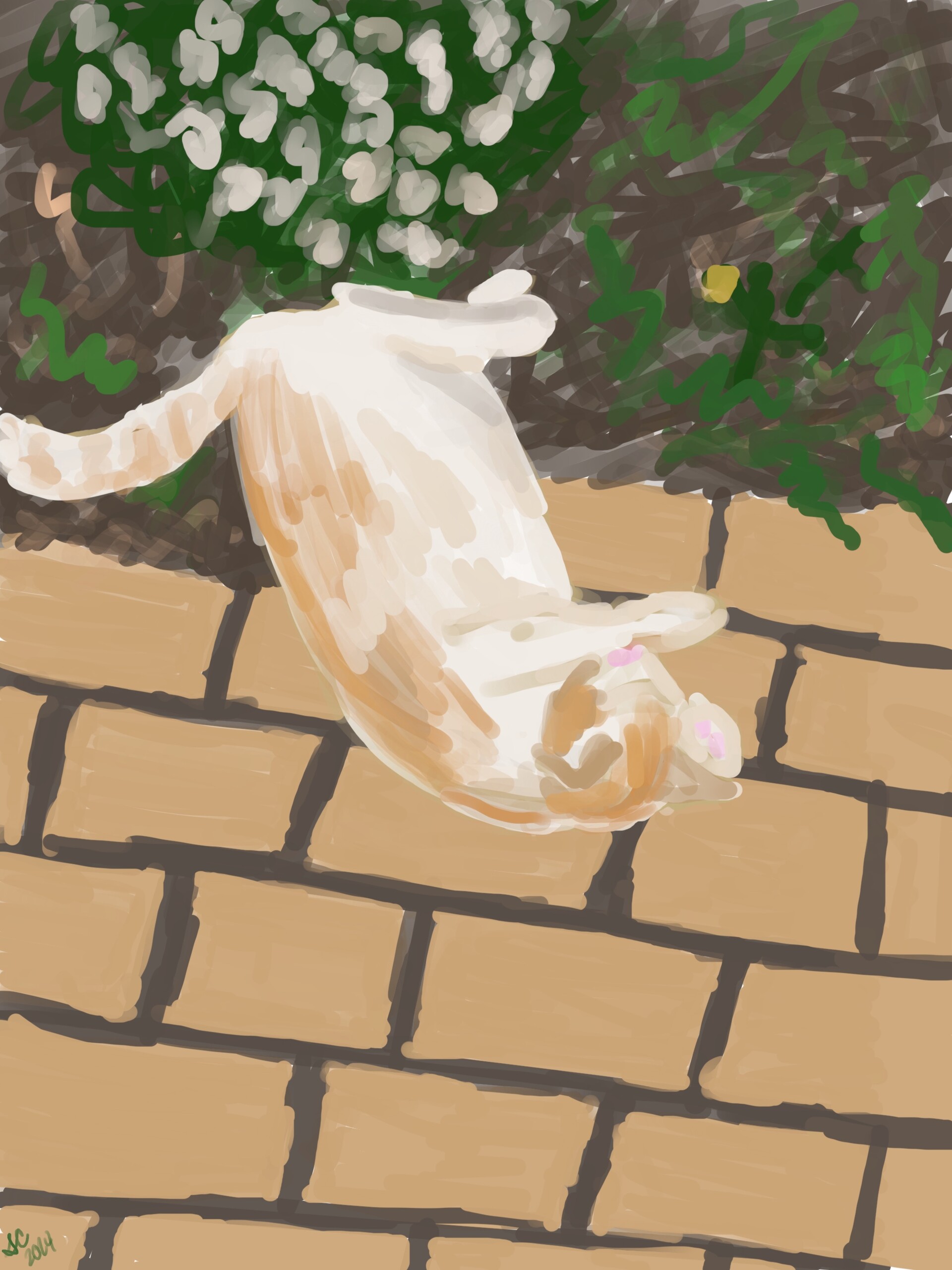 ArtStation - cat sketch 1