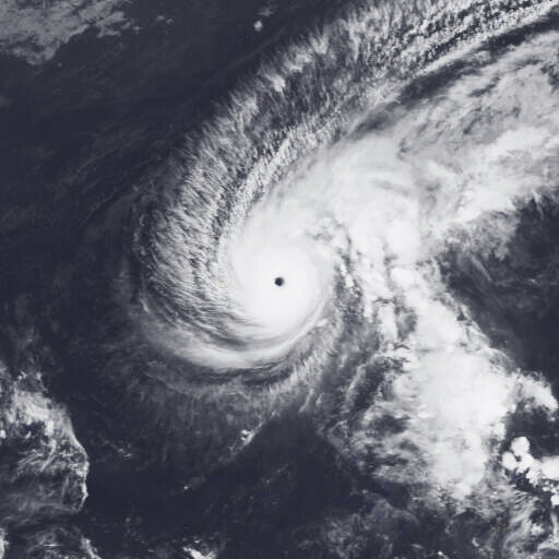 ArtStation - Typhoon Jack 1989 (With Reanalysis)