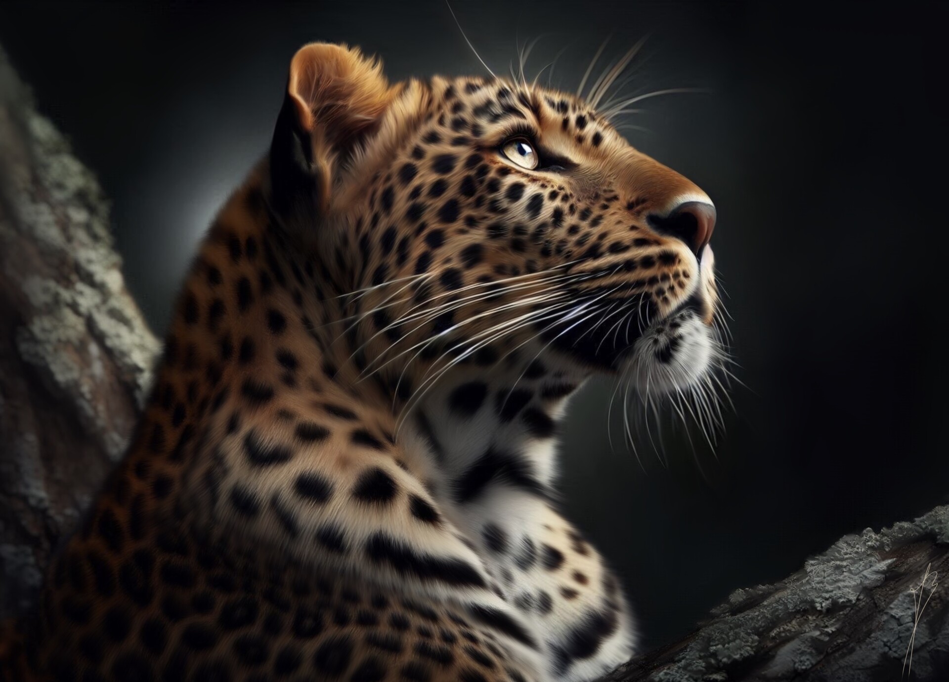 ArtStation - Leopard