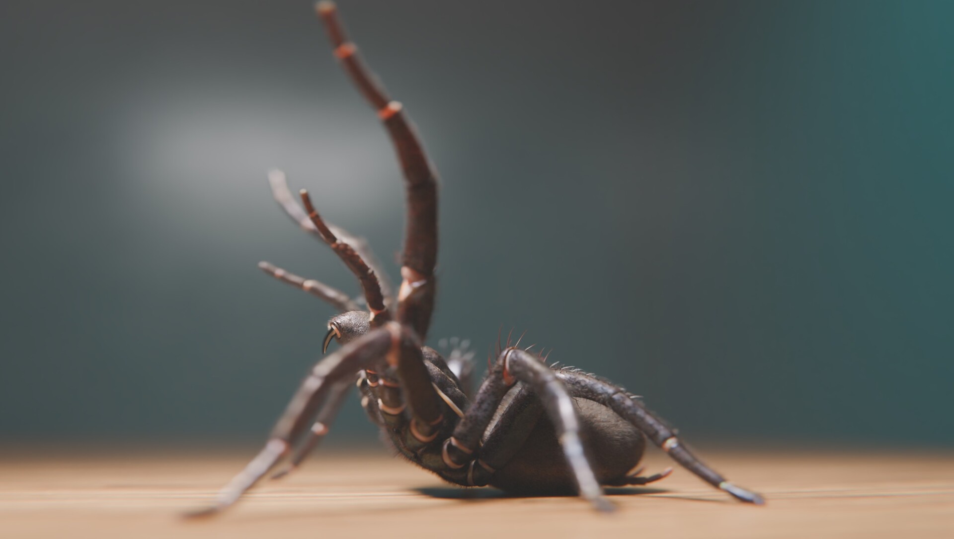 ArtStation - spider blend