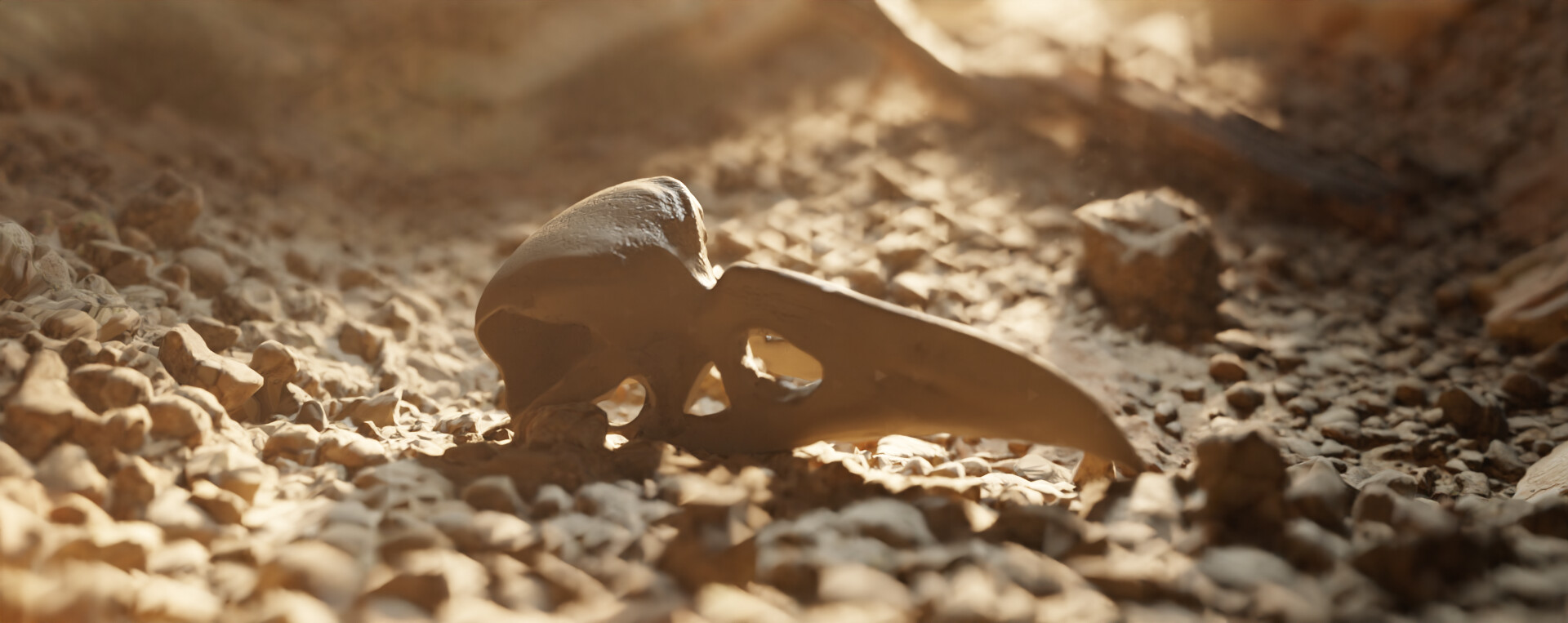 ArtStation - Desert Skull