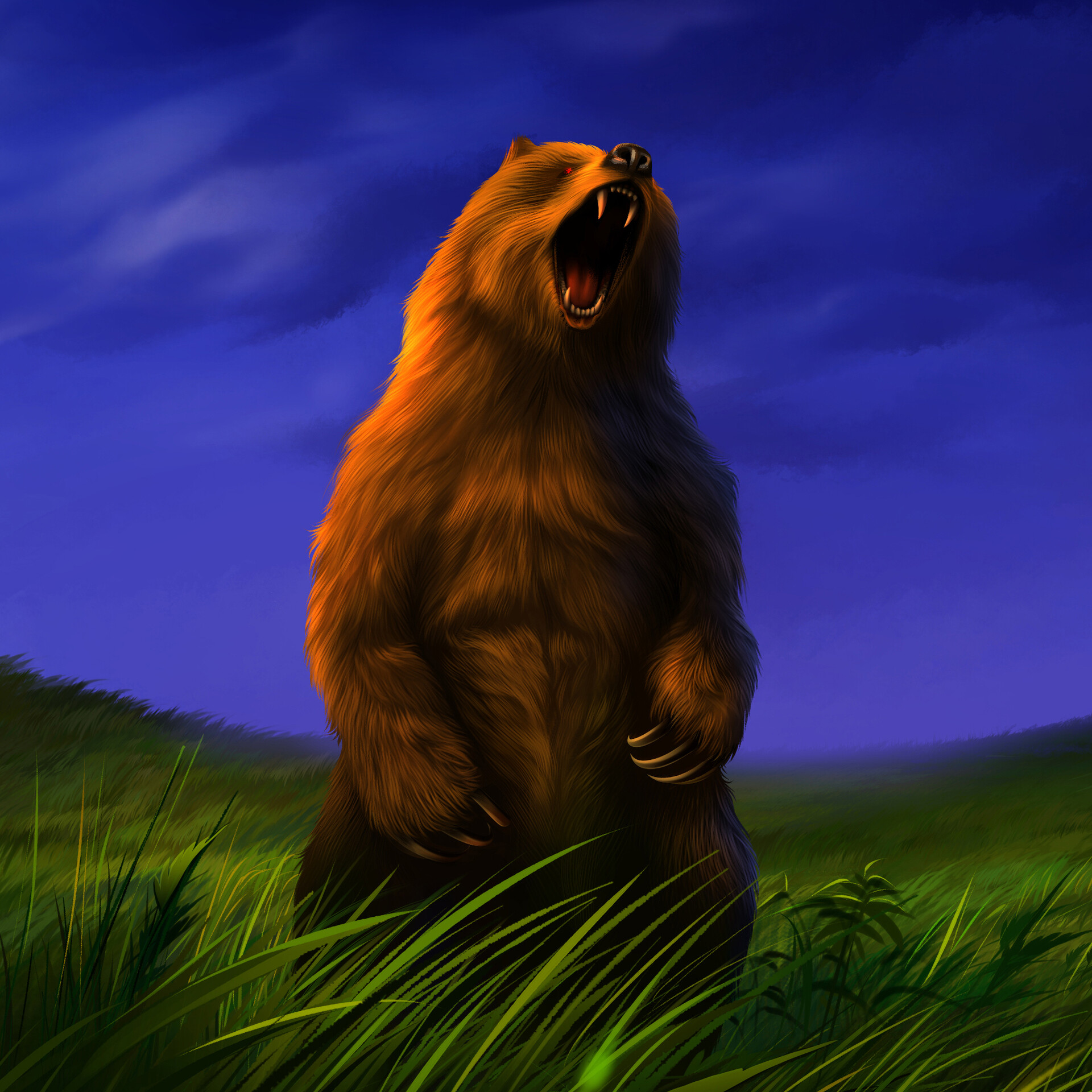 how to draw realistic bear