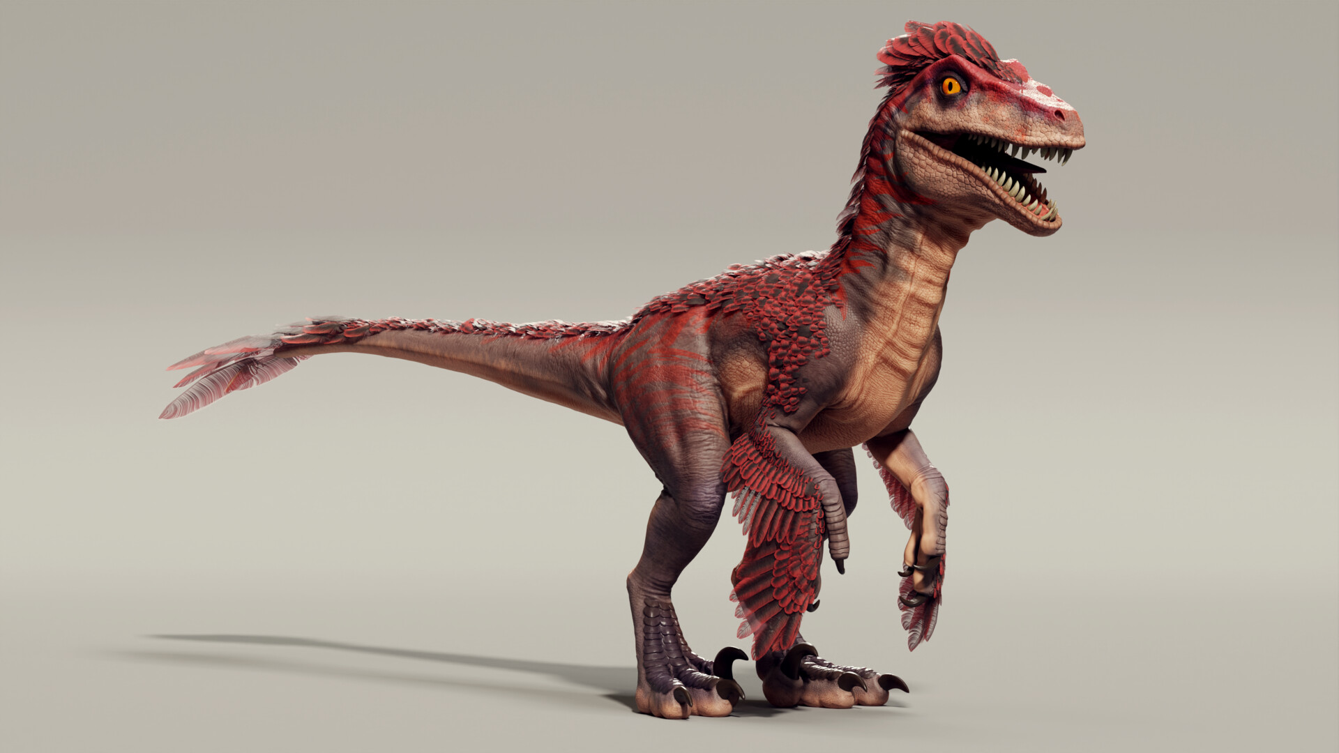 CC San - Red Claw Raptor