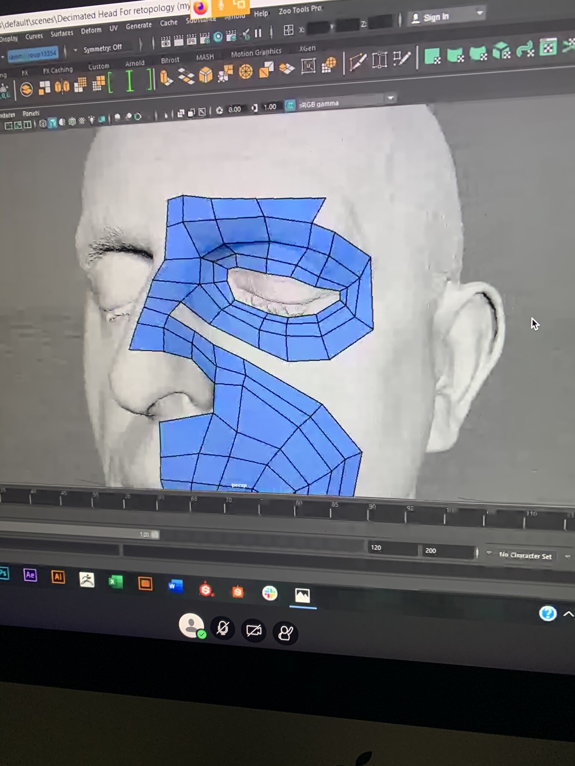 Michael J Thompson - Decimated Head for Retopology Exercise