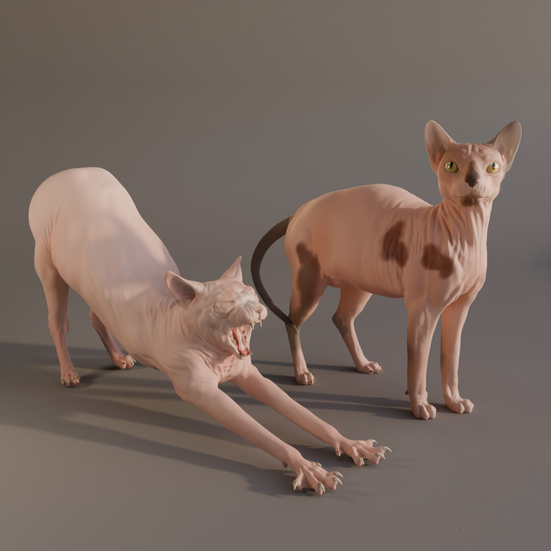 ArtStation - The Sphynx cats Ernie and Margot