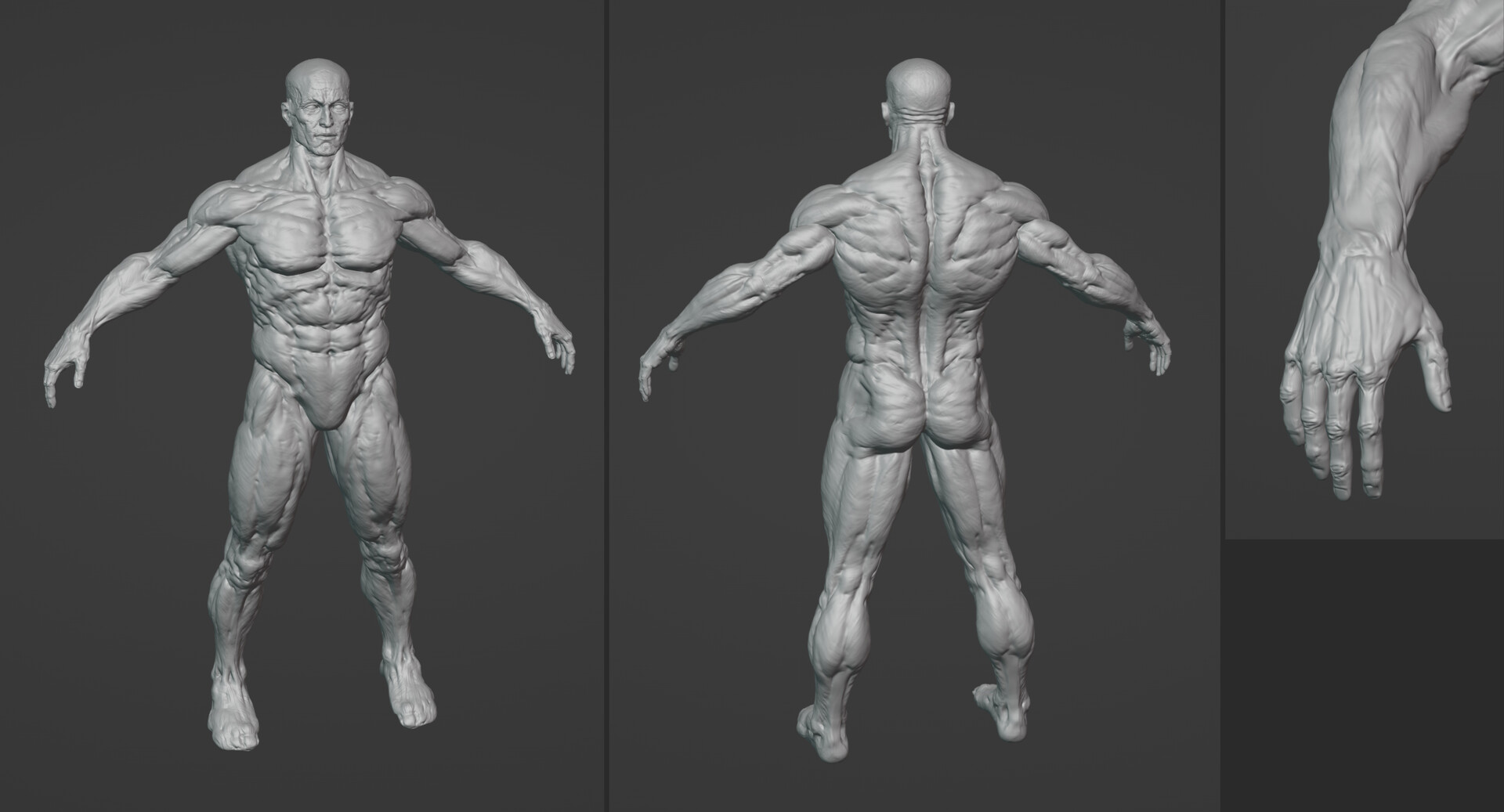 ArtStation - Base body.