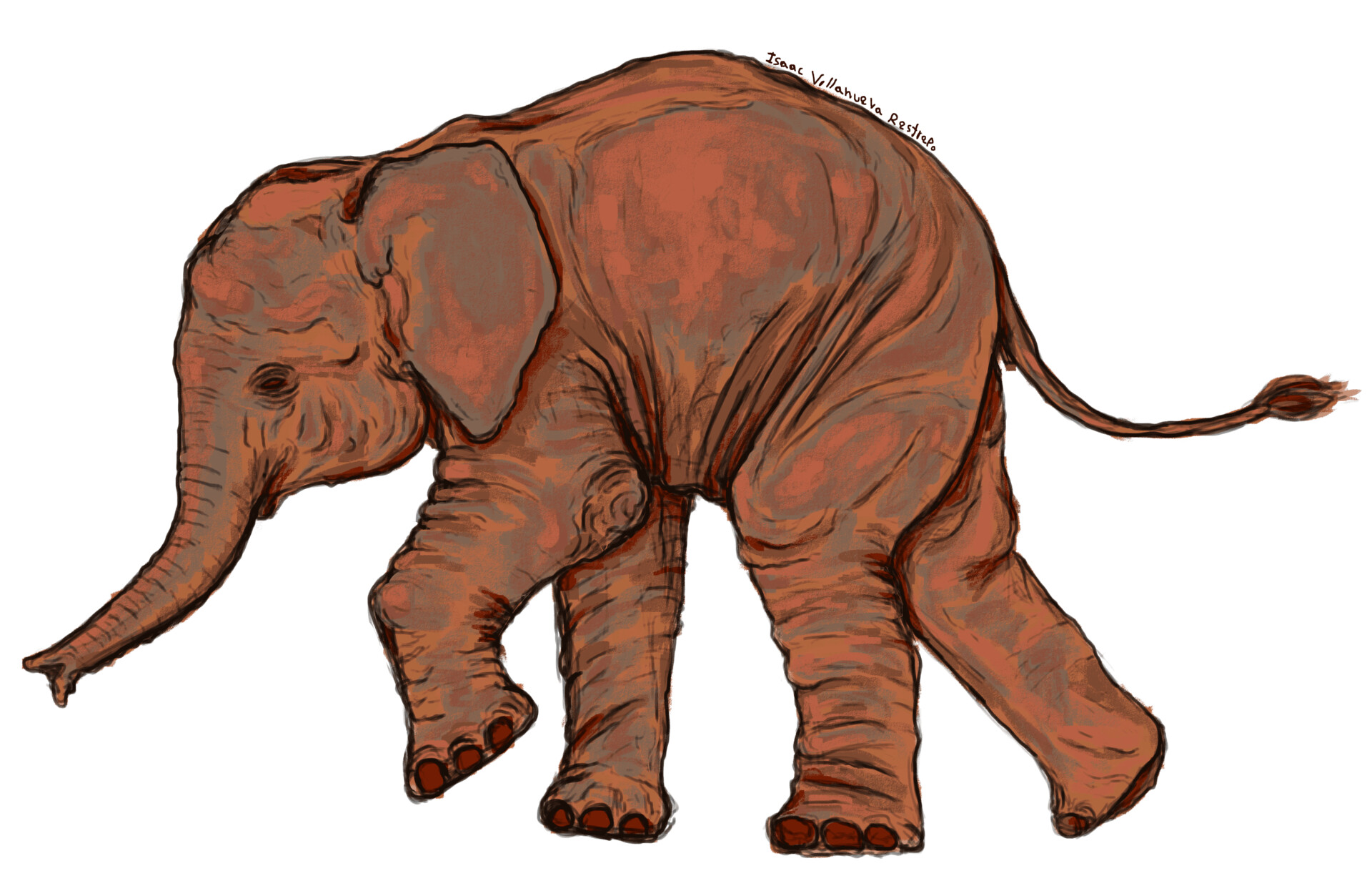 ArtStation - BABY ELEPHANT