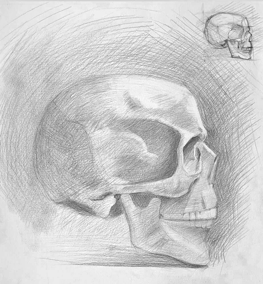 how to draw skull profile