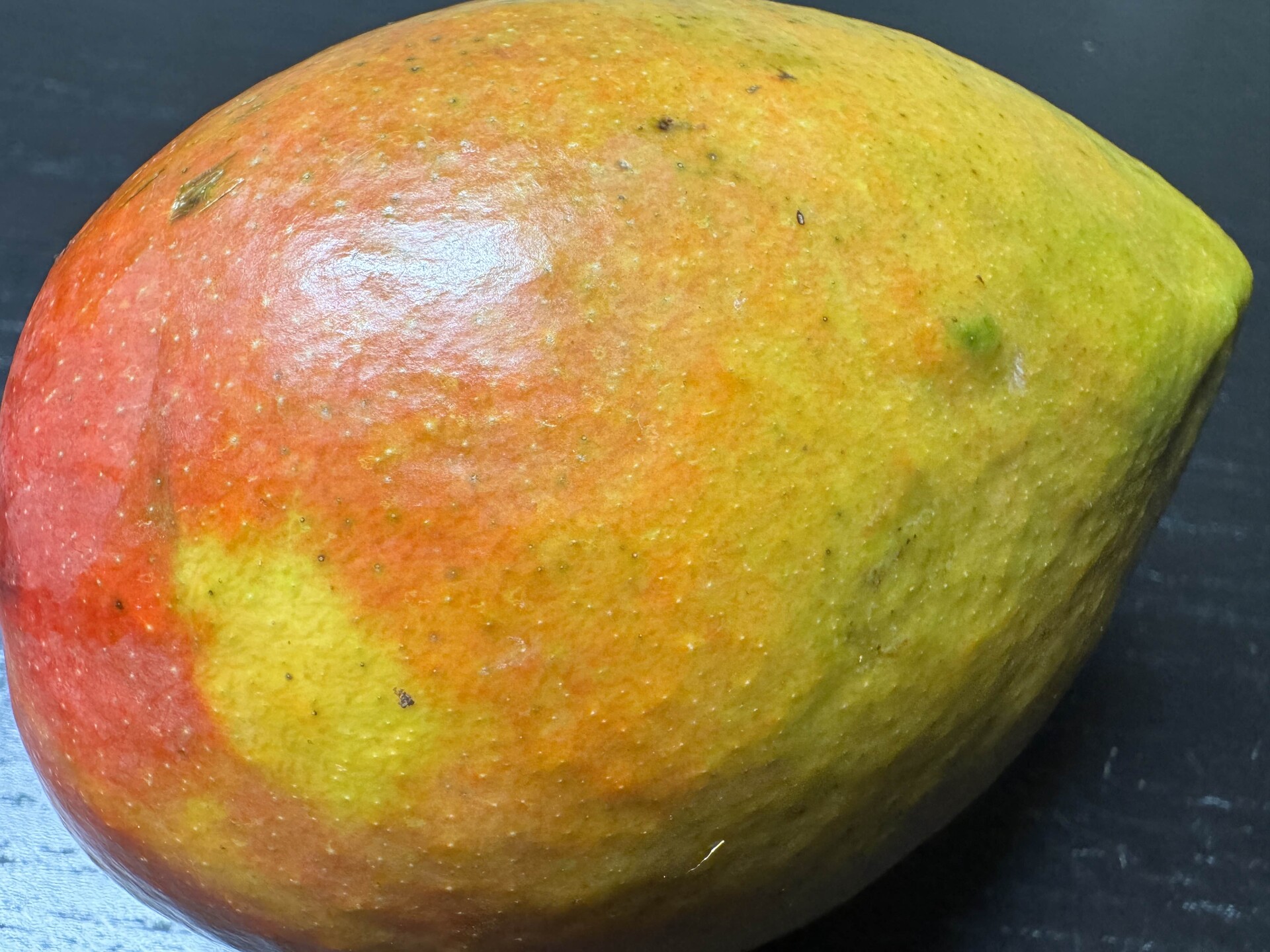 Will Wayfinder - Mango Material