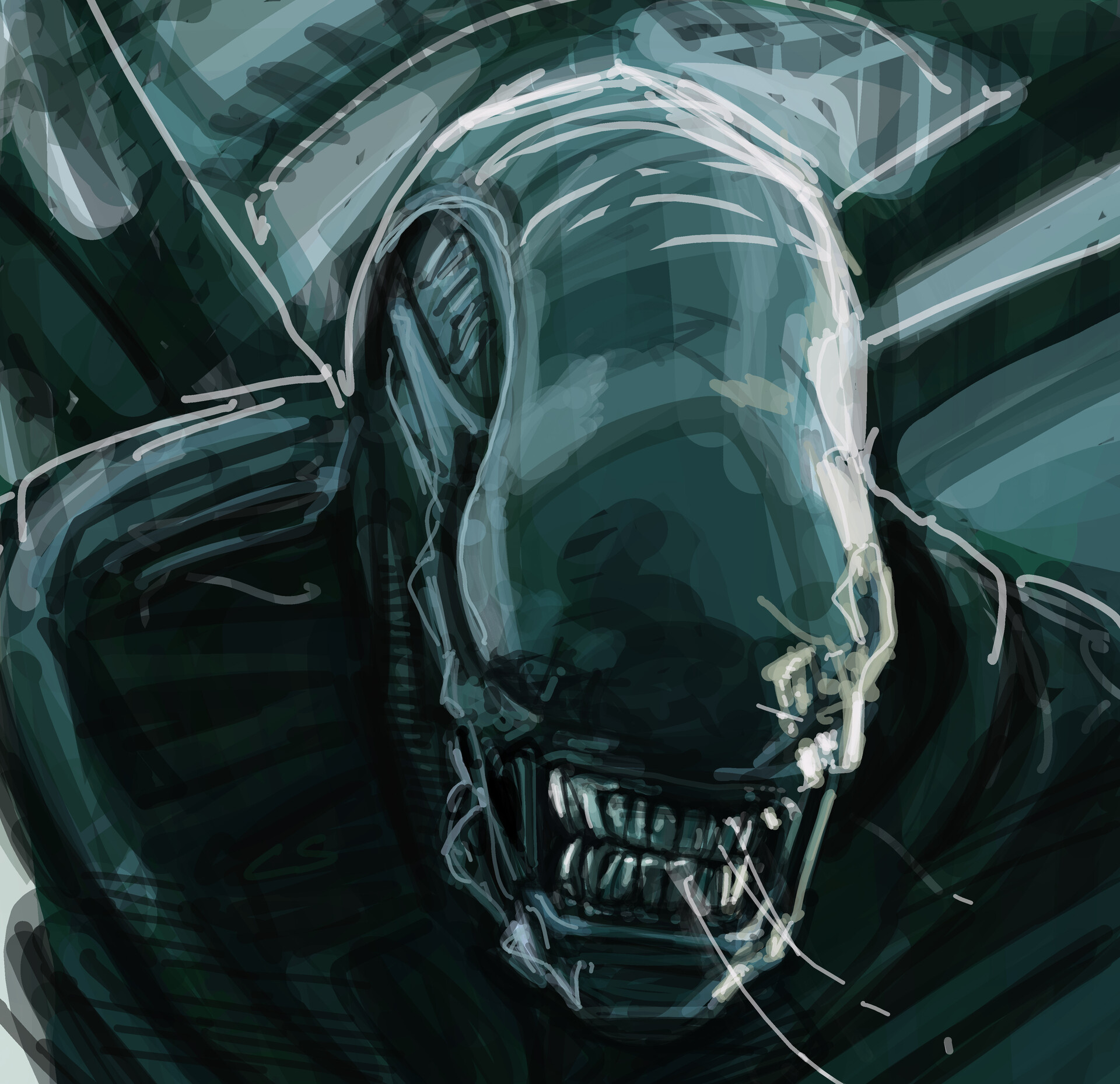 Connor Schultz - Round Brush Portraits