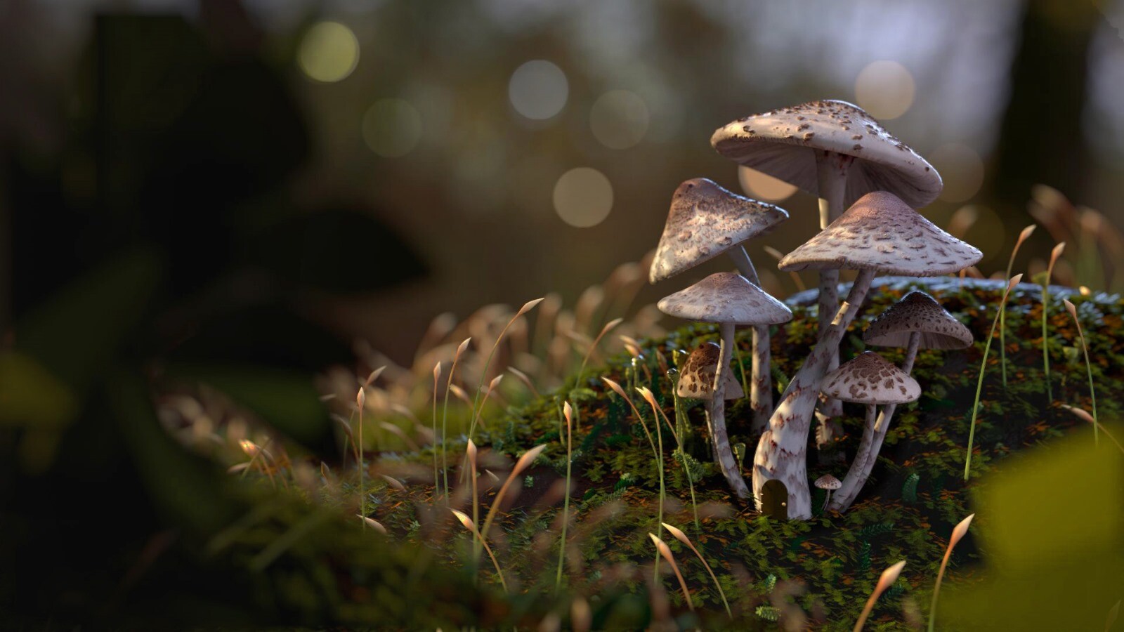 ArtStation - Miniature Forest