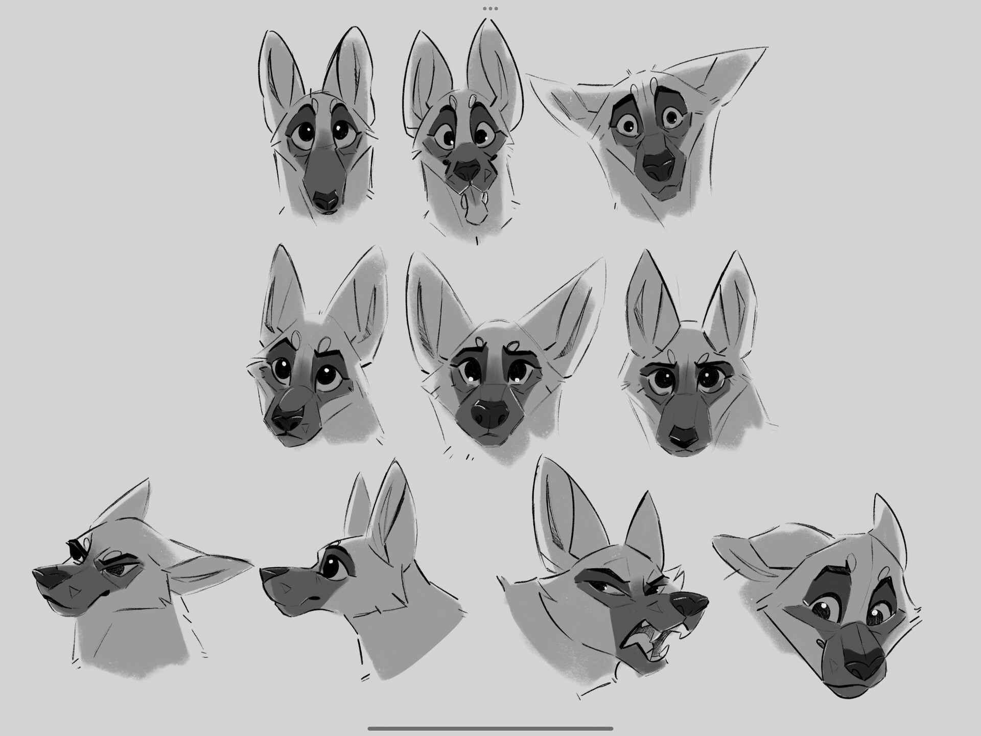 ArtStation - Character sheet 2d dog